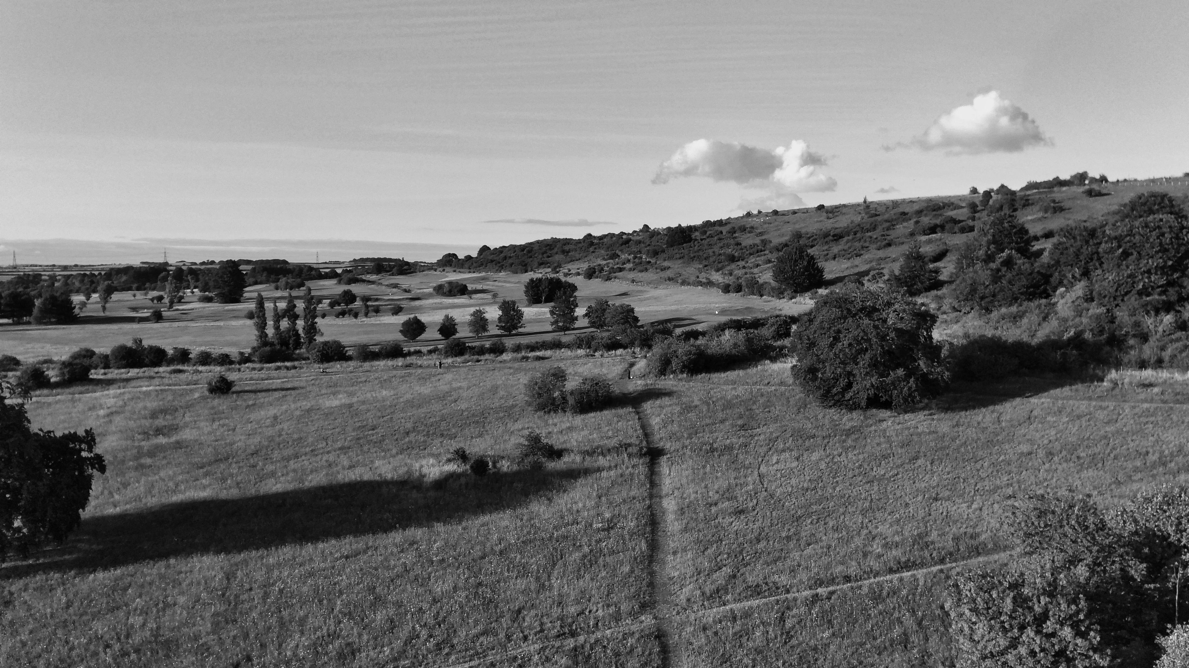 Grayscale Photo of Grass Field · Free Stock Photo