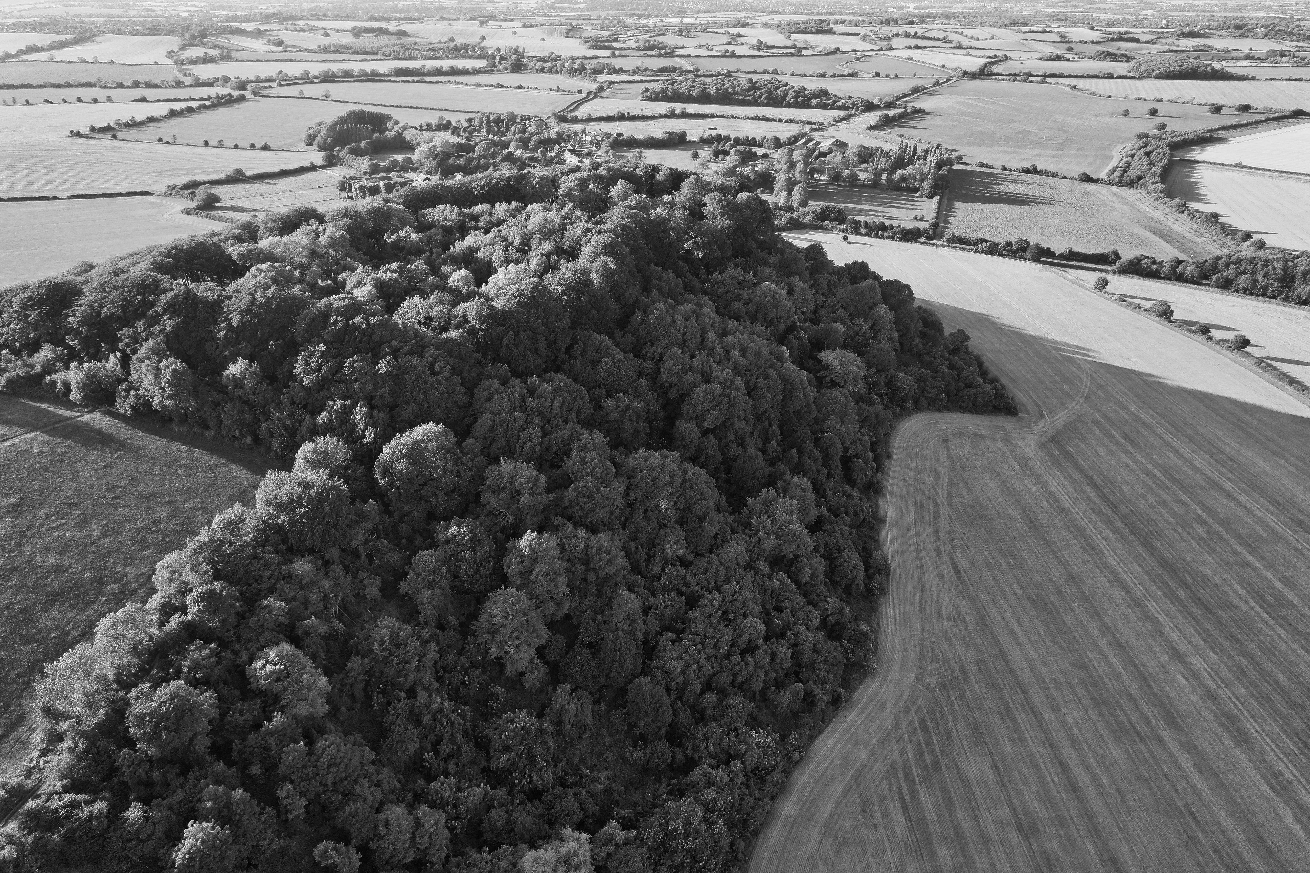 Veck Bugil Photos, Download The BEST Free Veck Bugil Stock Photos & HD Images