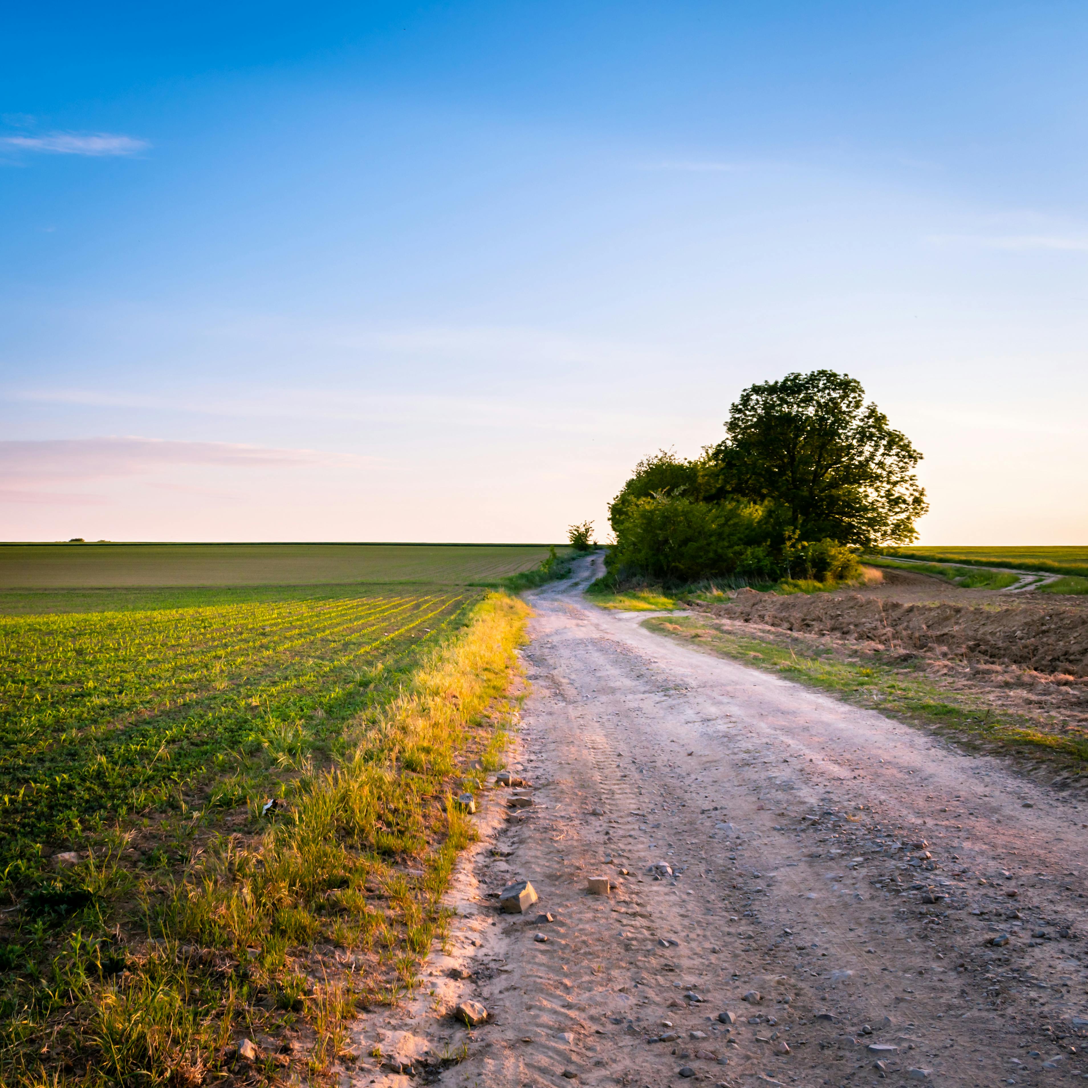 An Unpaved Road in the Countryside · Free Stock Photo
