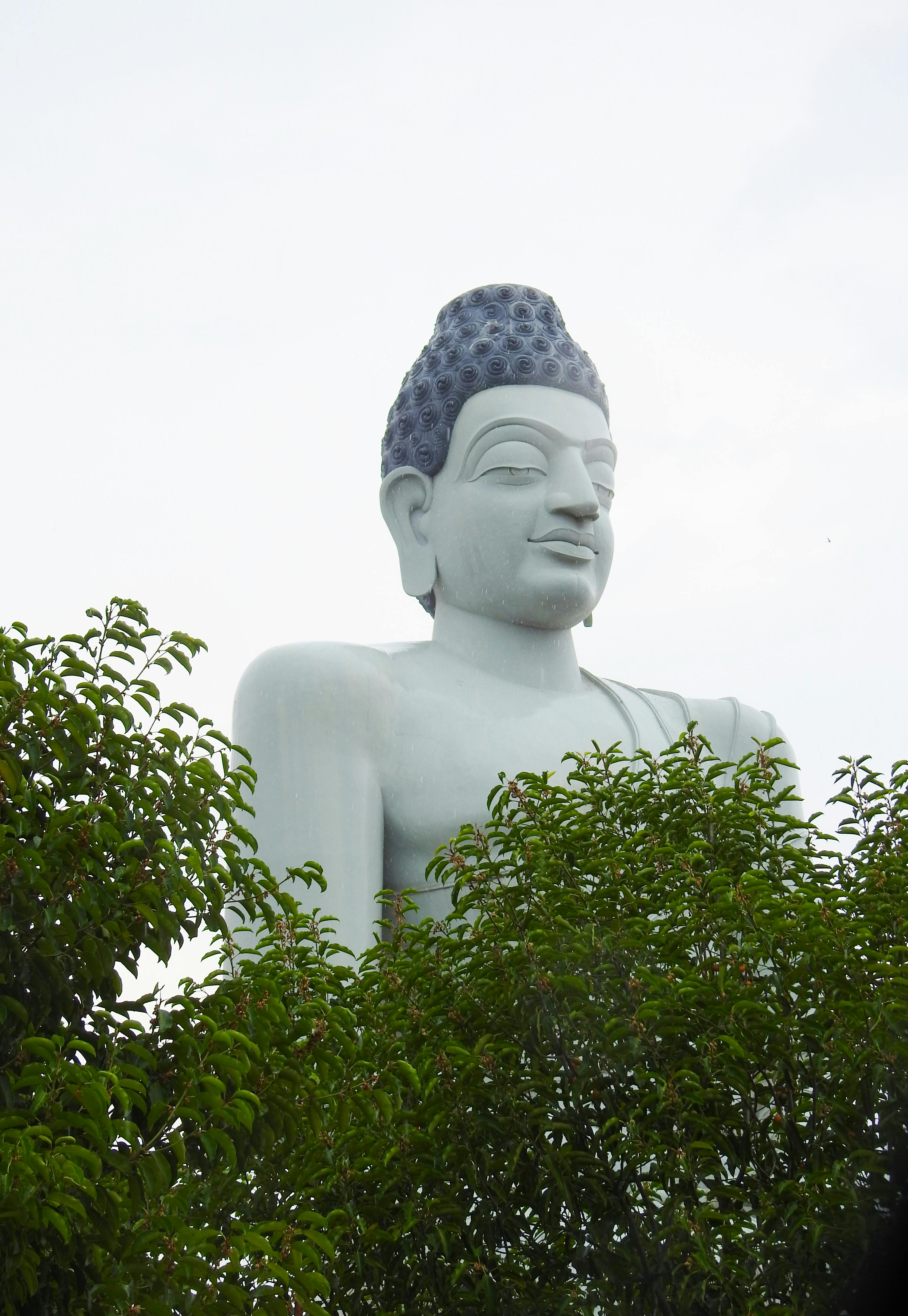 Buddha Statue · Free Stock Photo