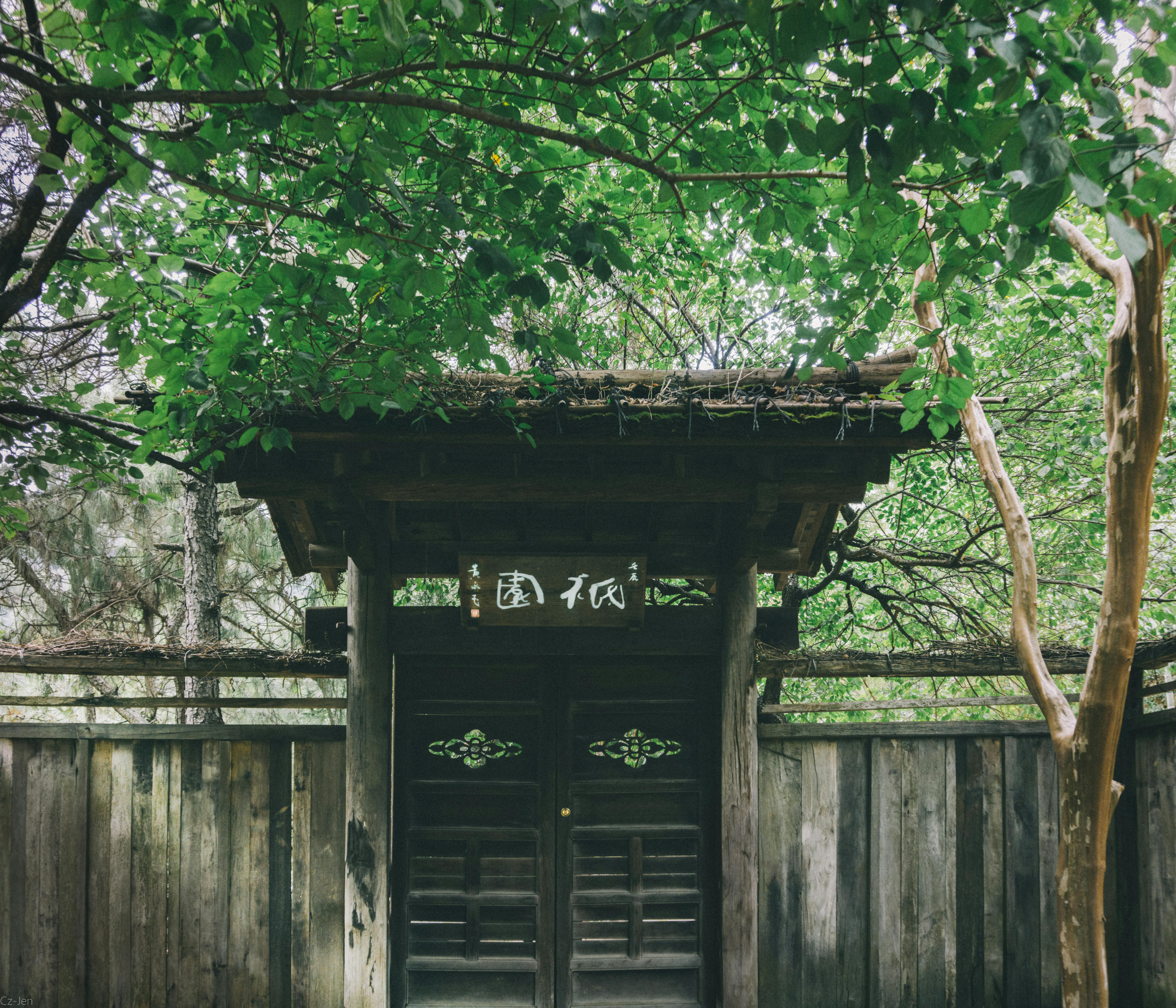 Brown Wooden Gate under Trees · Free Stock Photo