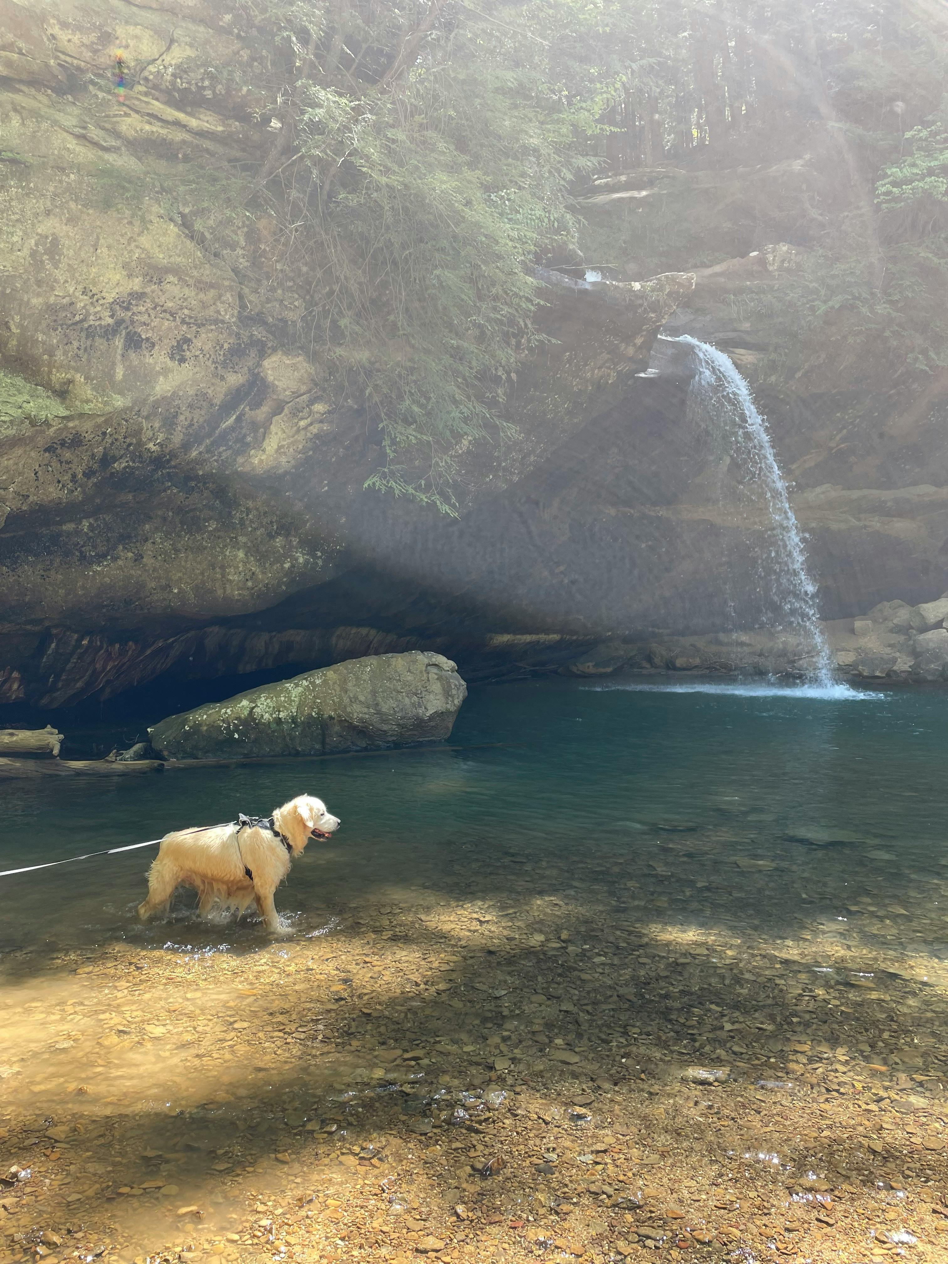 Adventures Photos, Download The BEST Free Adventures Stock Photos & HD ...