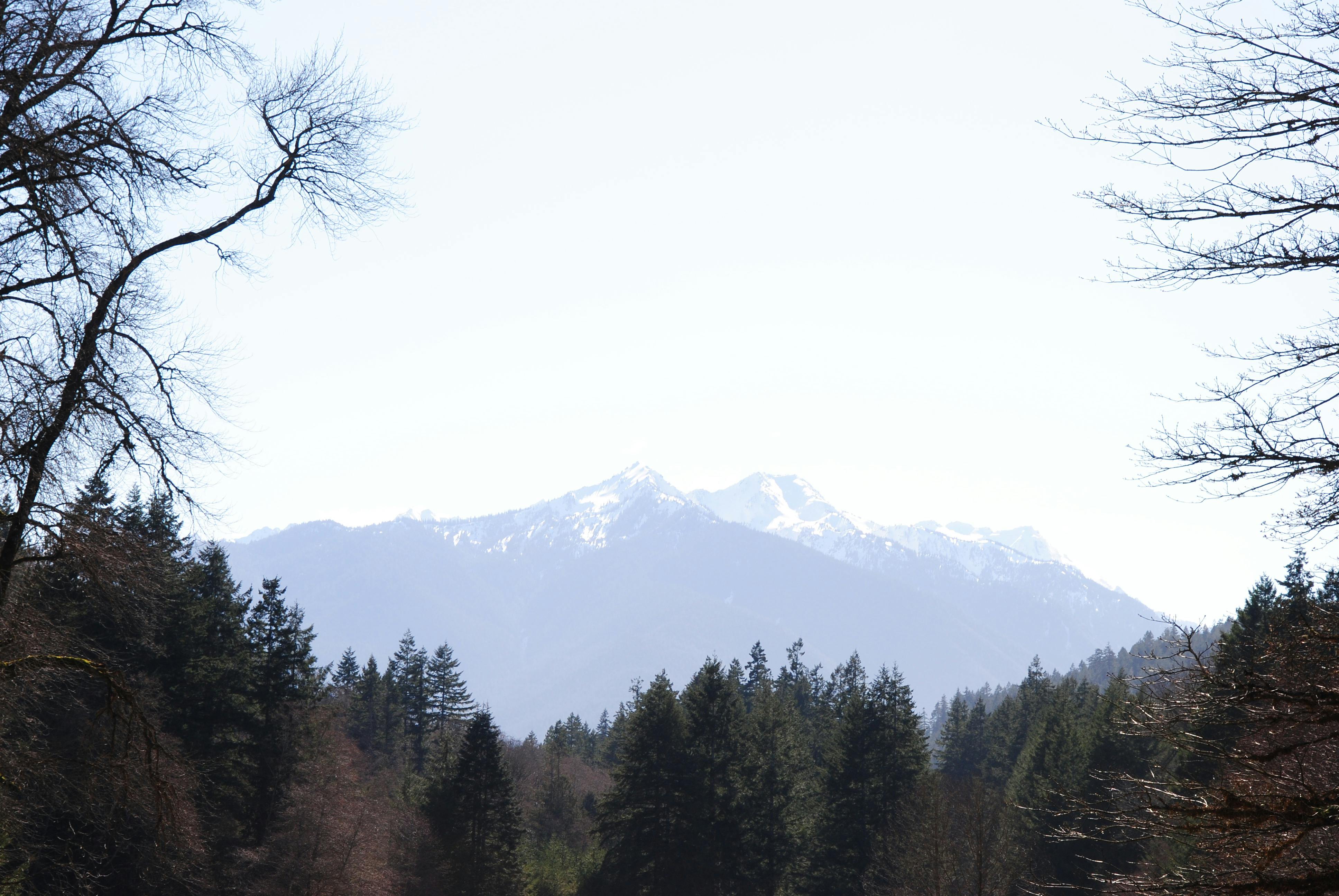 Peter Snyder - 写真