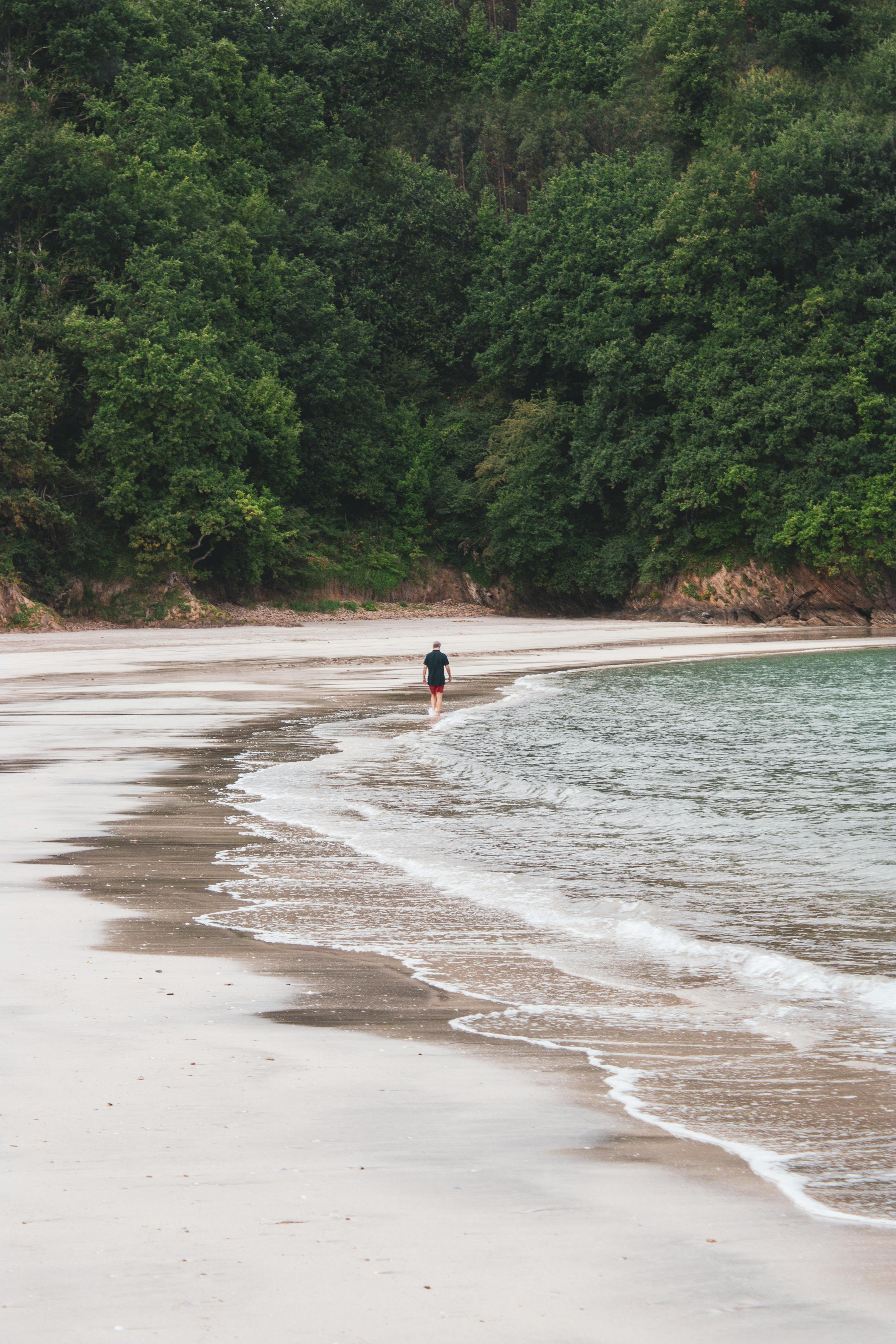 10+ Best Free Olas Stock Photos & Images · 100% Royalty-Free HD Downloads