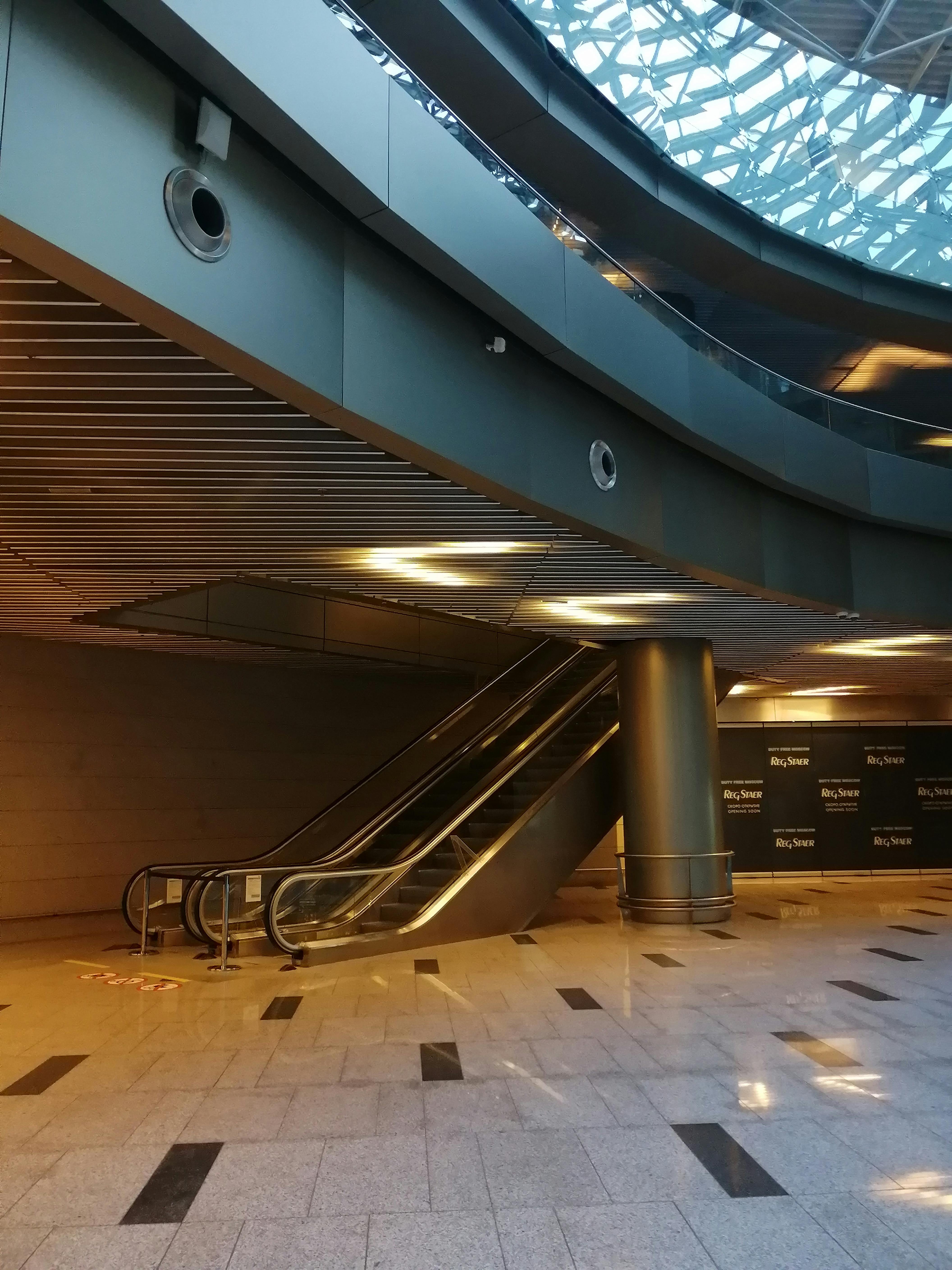Escalators in Terminal · Free Stock Photo