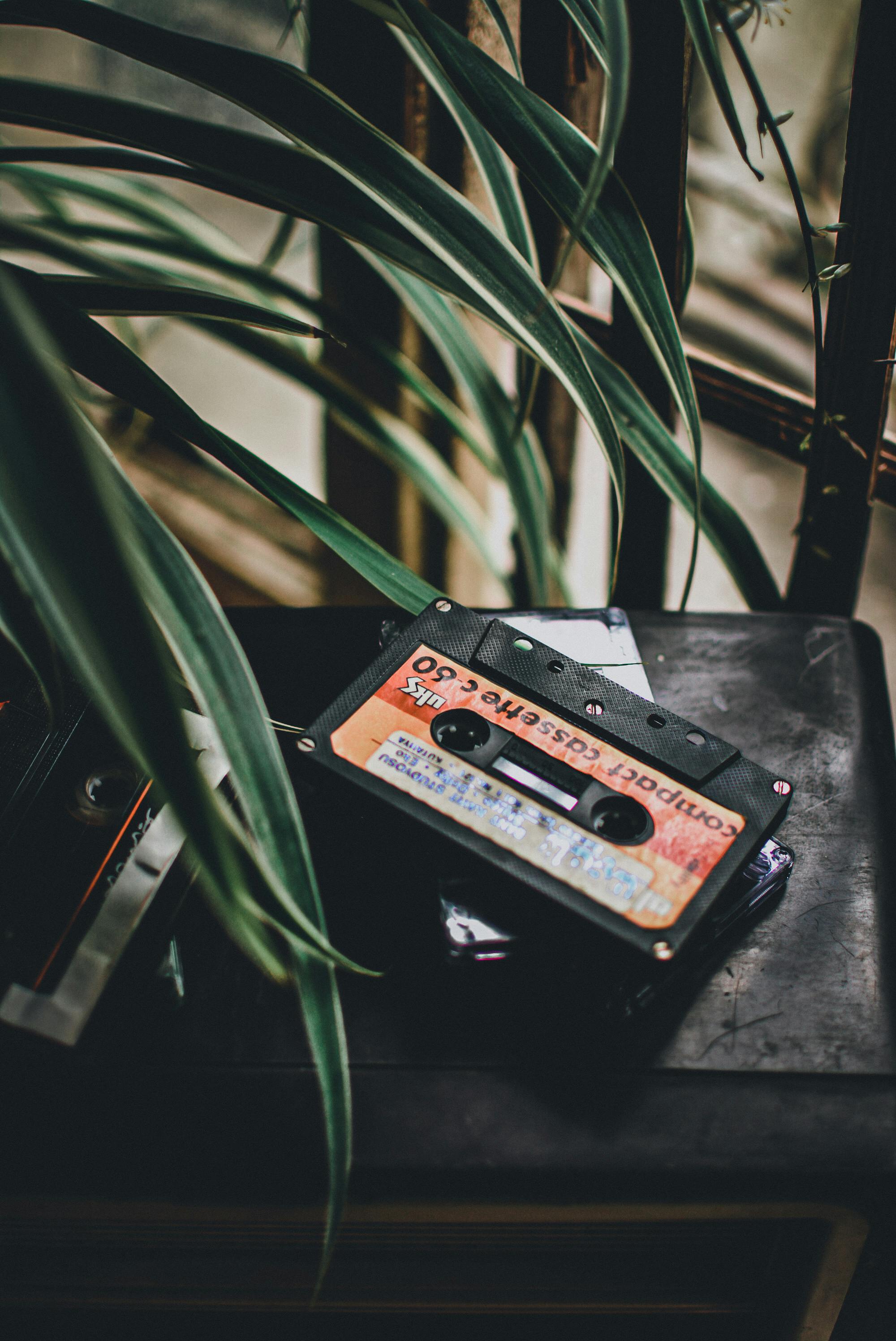 Stacks of Cassette Tapes · Free Stock Photo