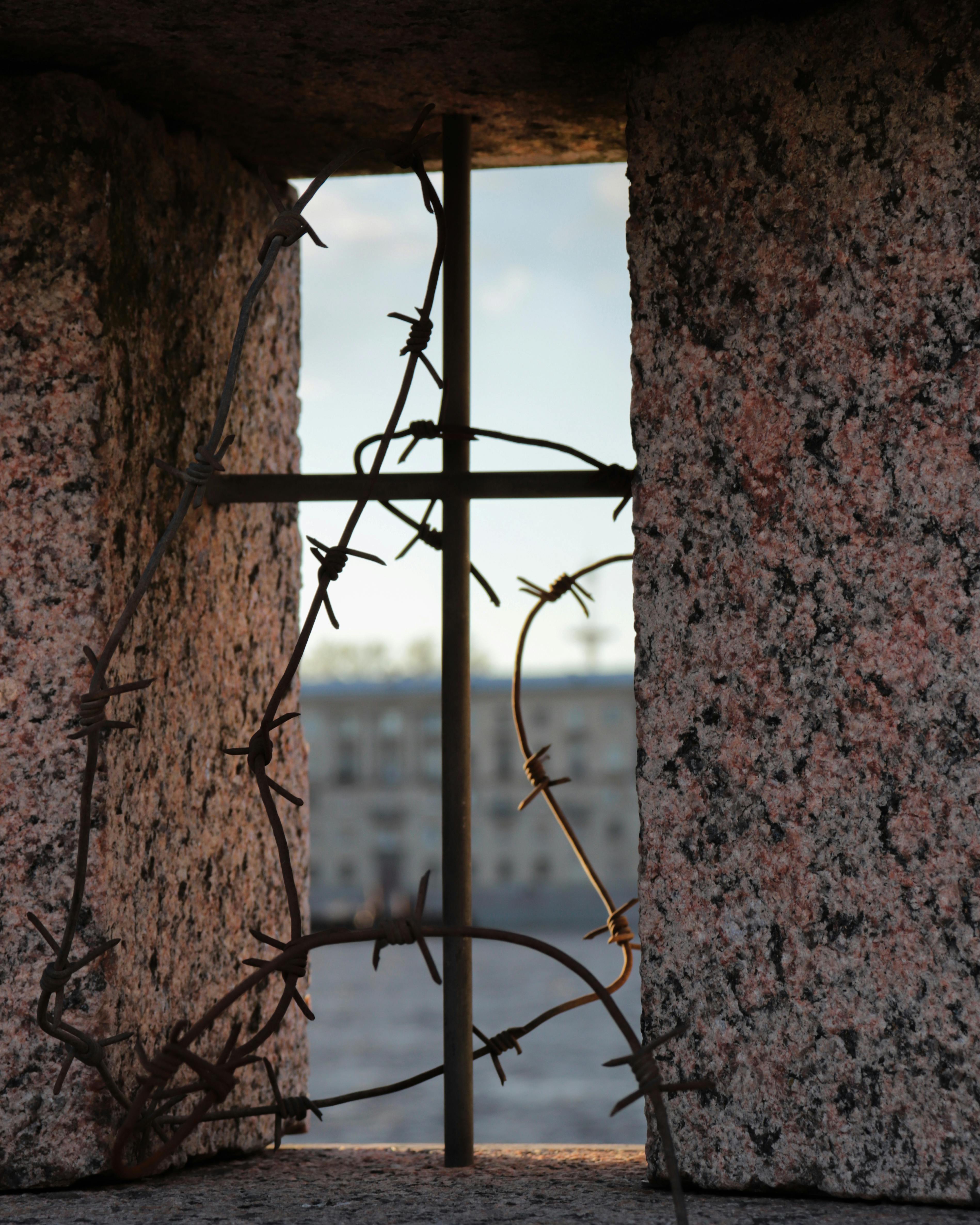 Bars and Barbed Wire on Window · Free Stock Photo