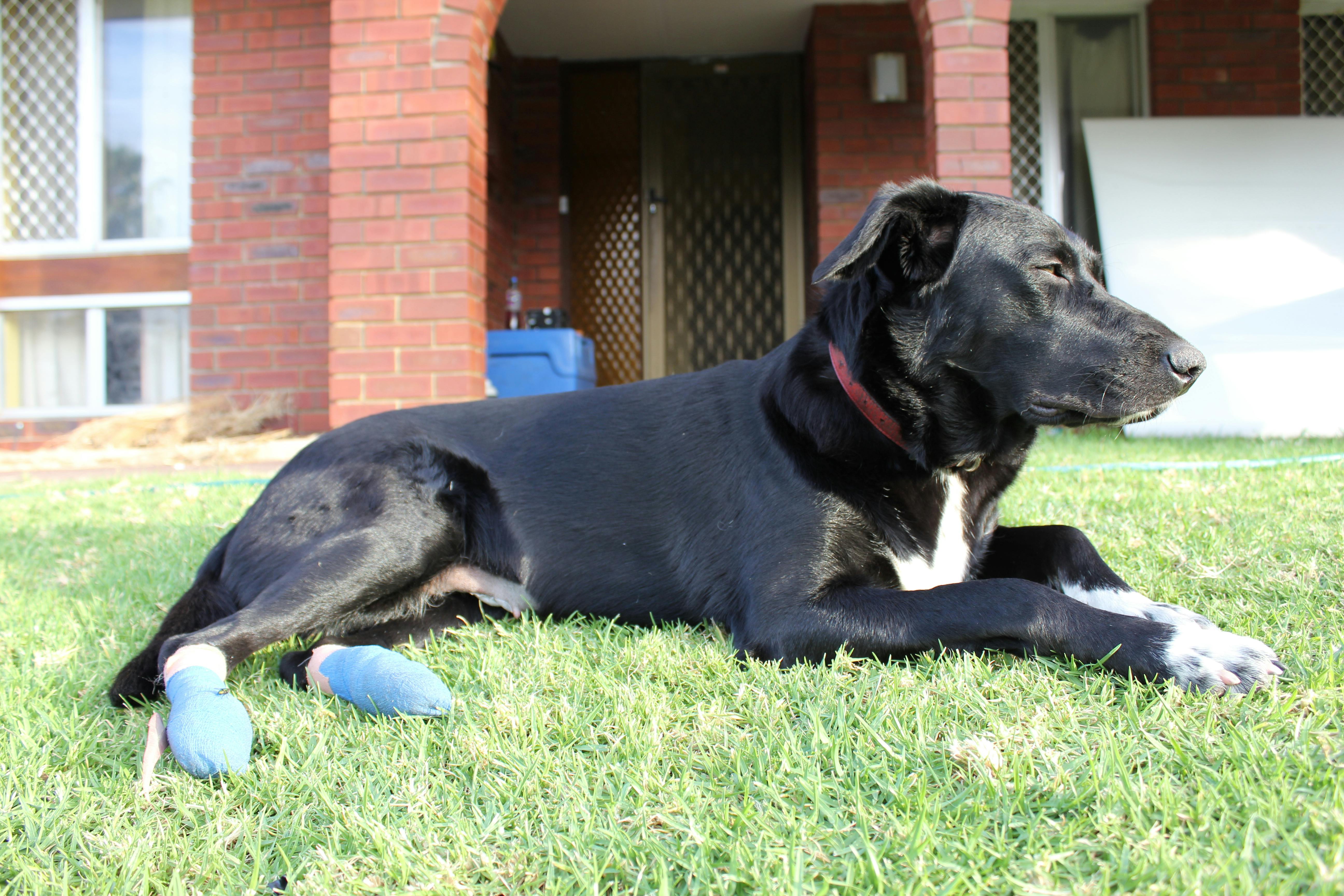 Claudia Franks - Photography