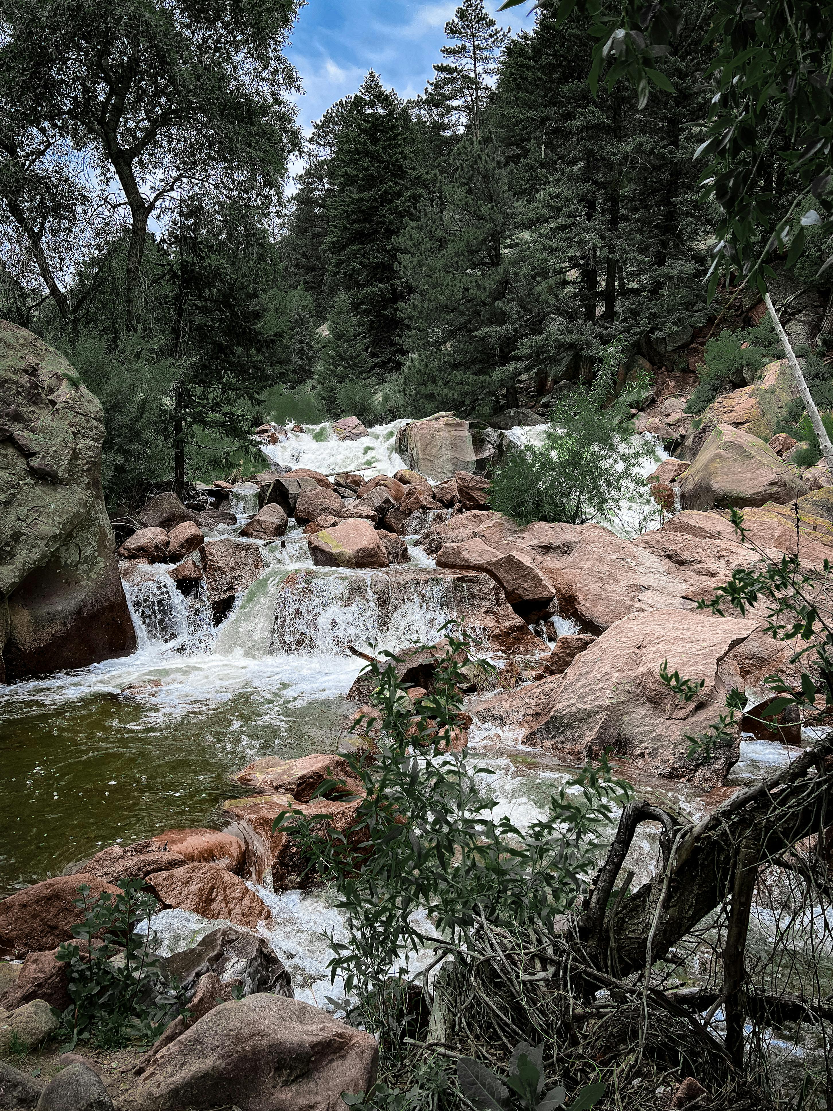 Minus Pure Polka Photos, Download The BEST Free Minus Pure Polka Stock Photos & HD Images