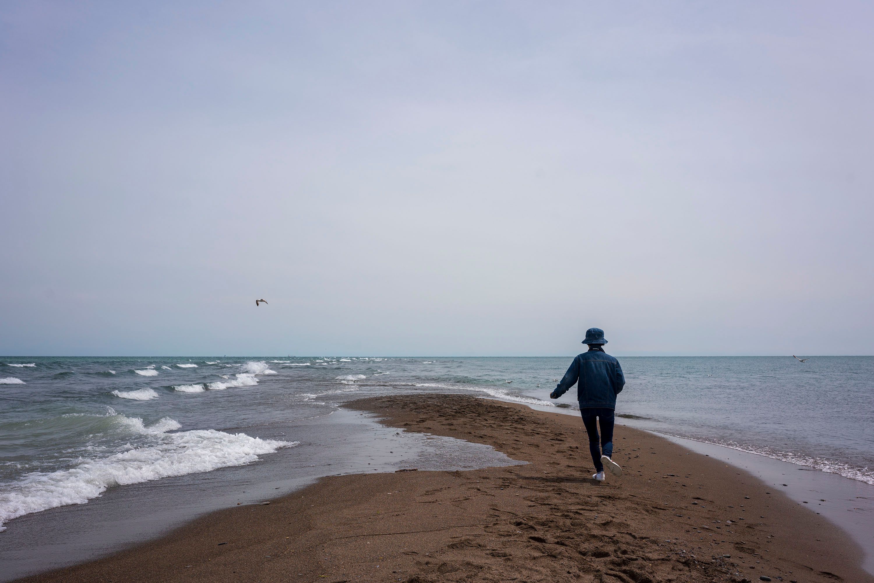 Person Walking on Seashore · Free Stock Photo