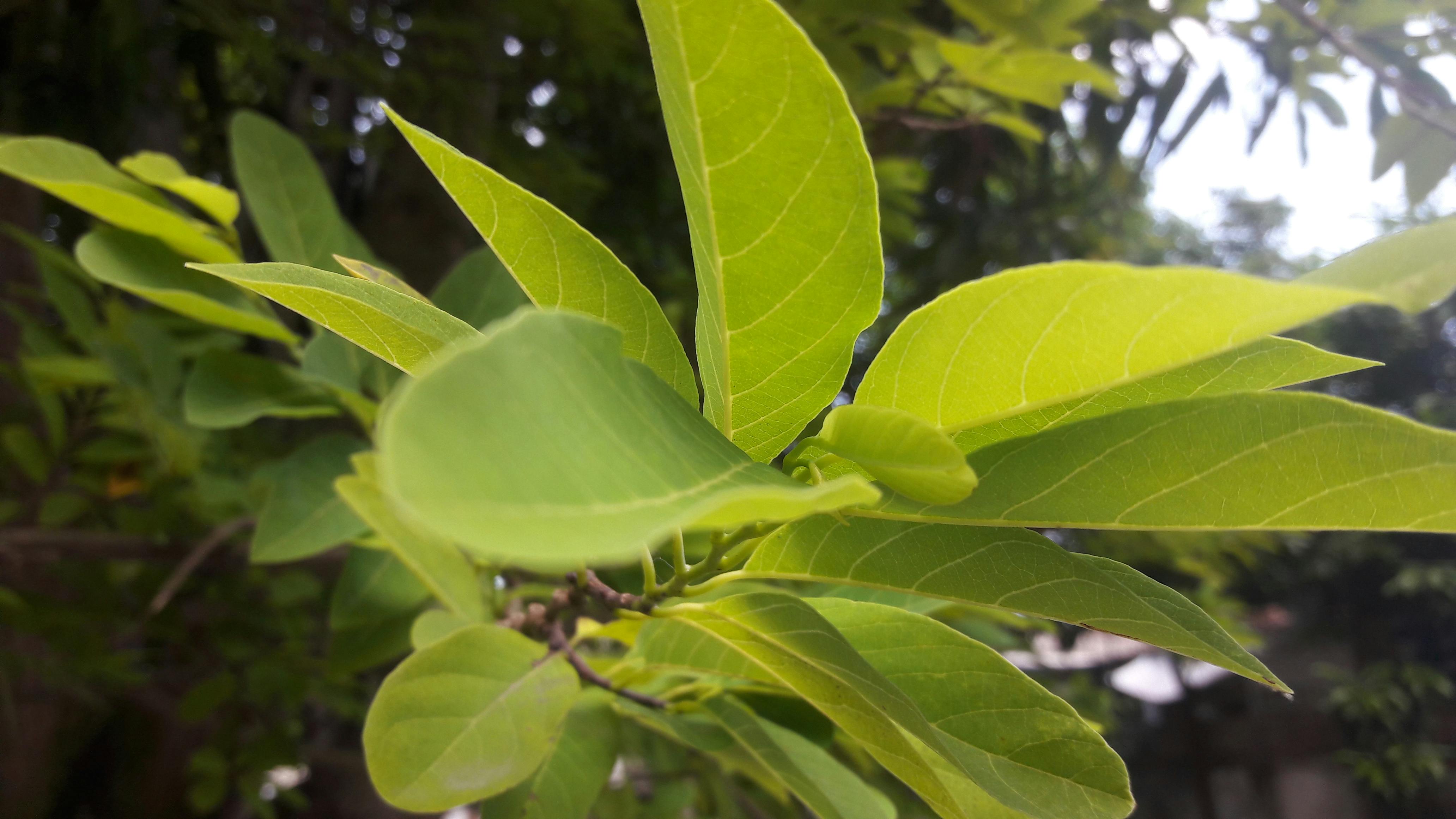 Earthman Ho Hai Anh - Photography