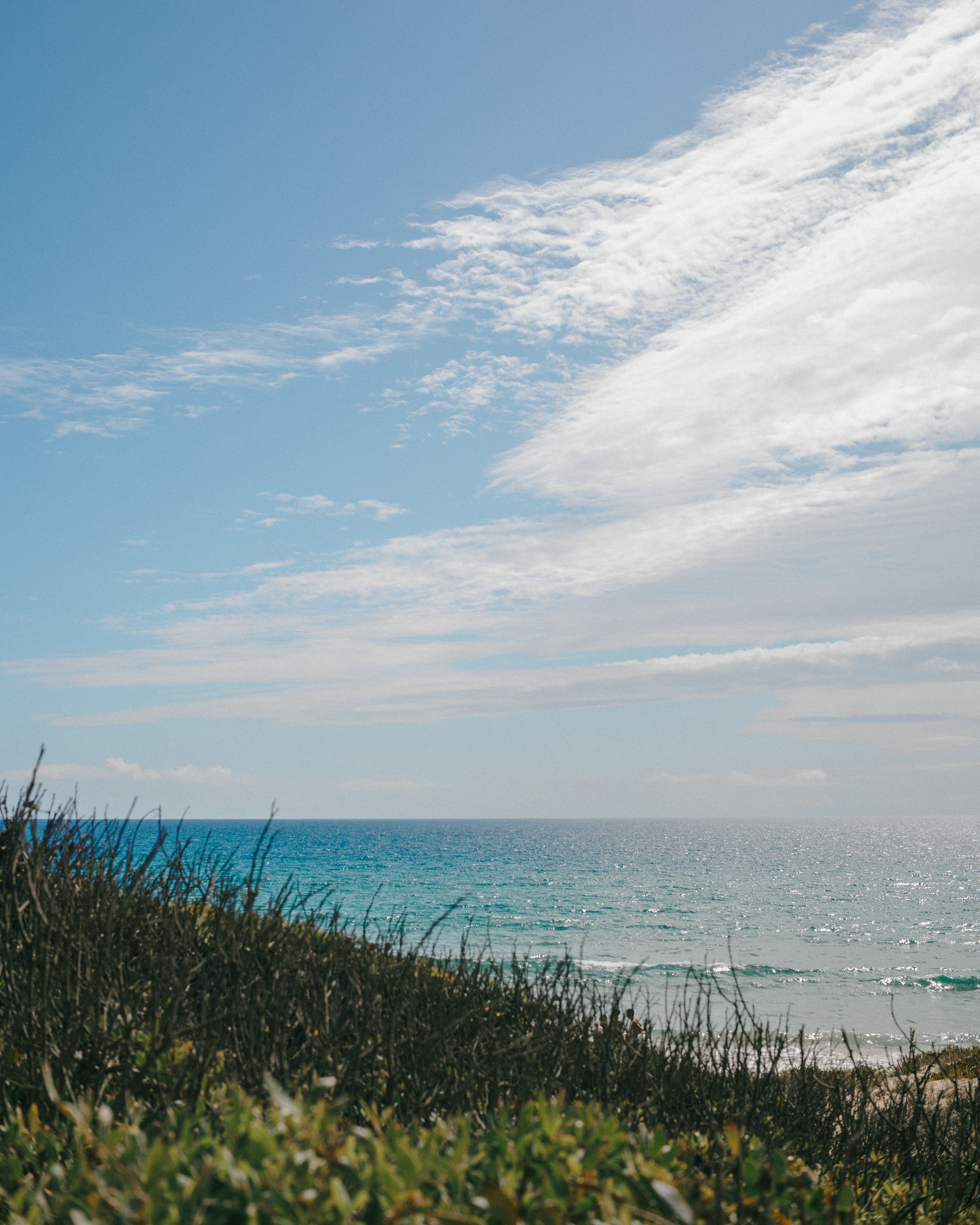 Green Grass Near the Sea · Free Stock Photo