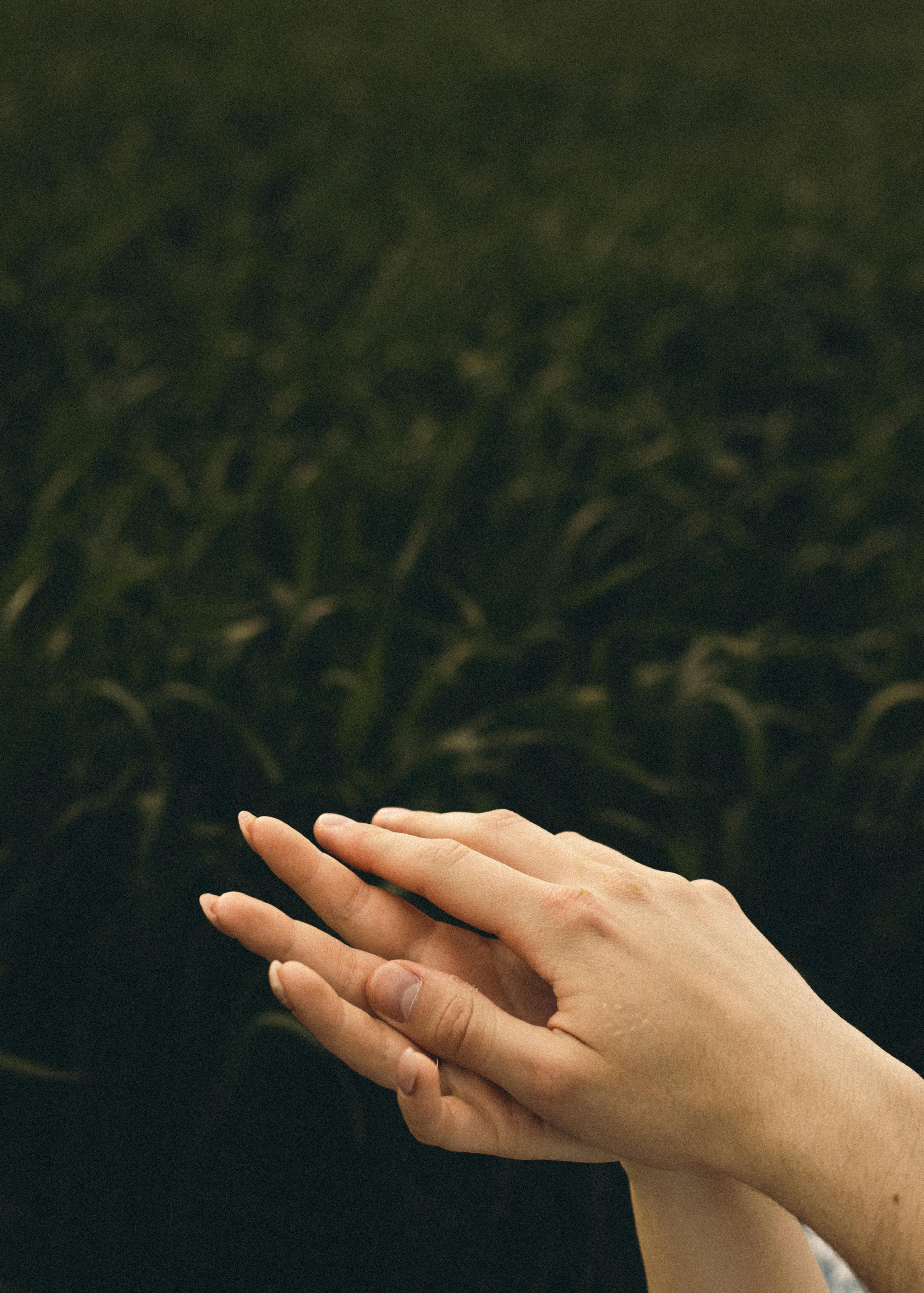 Photograph of Hands Touching · Free Stock Photo