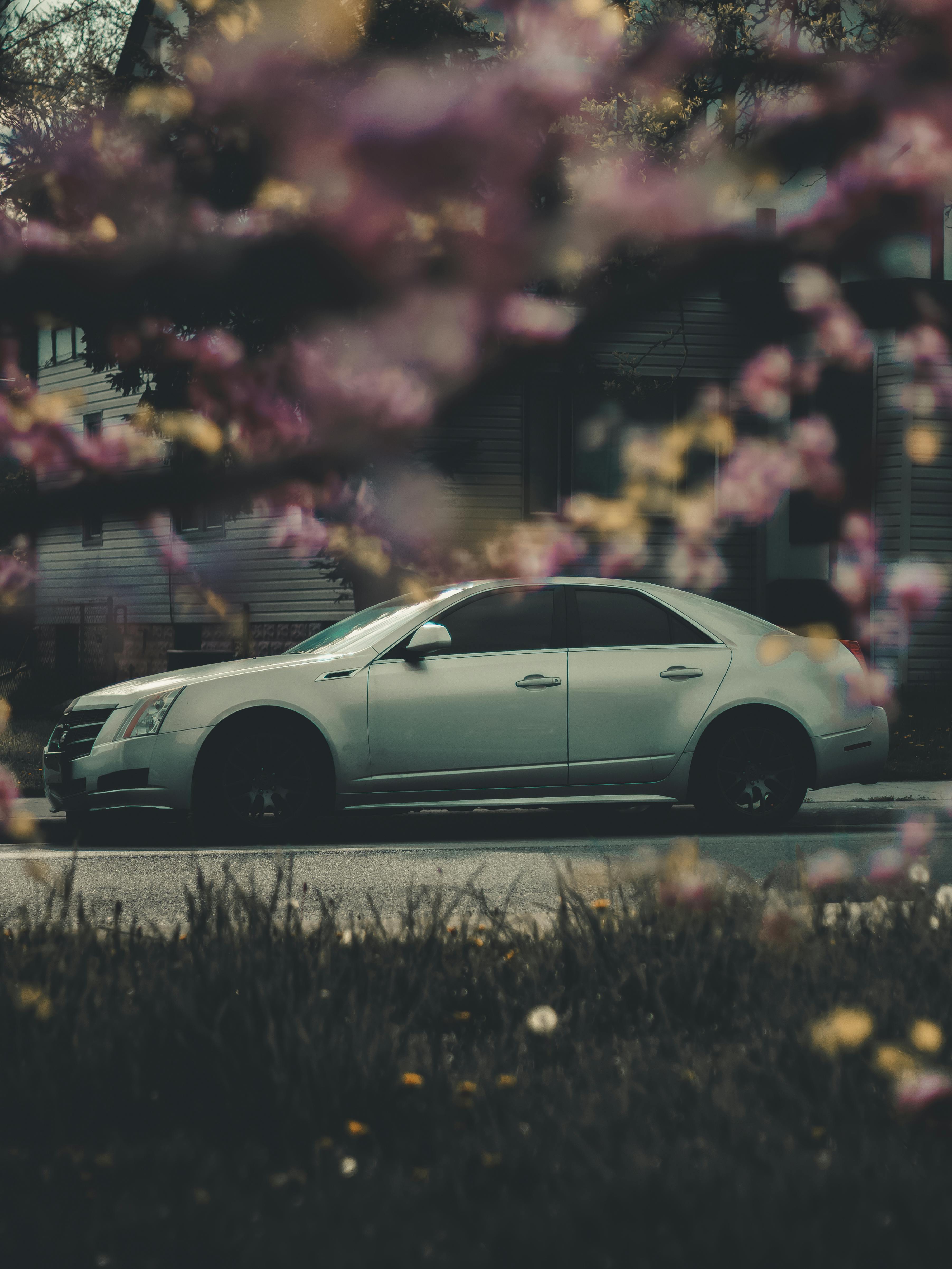 Photo of a Parked Vehicle · Free Stock Photo