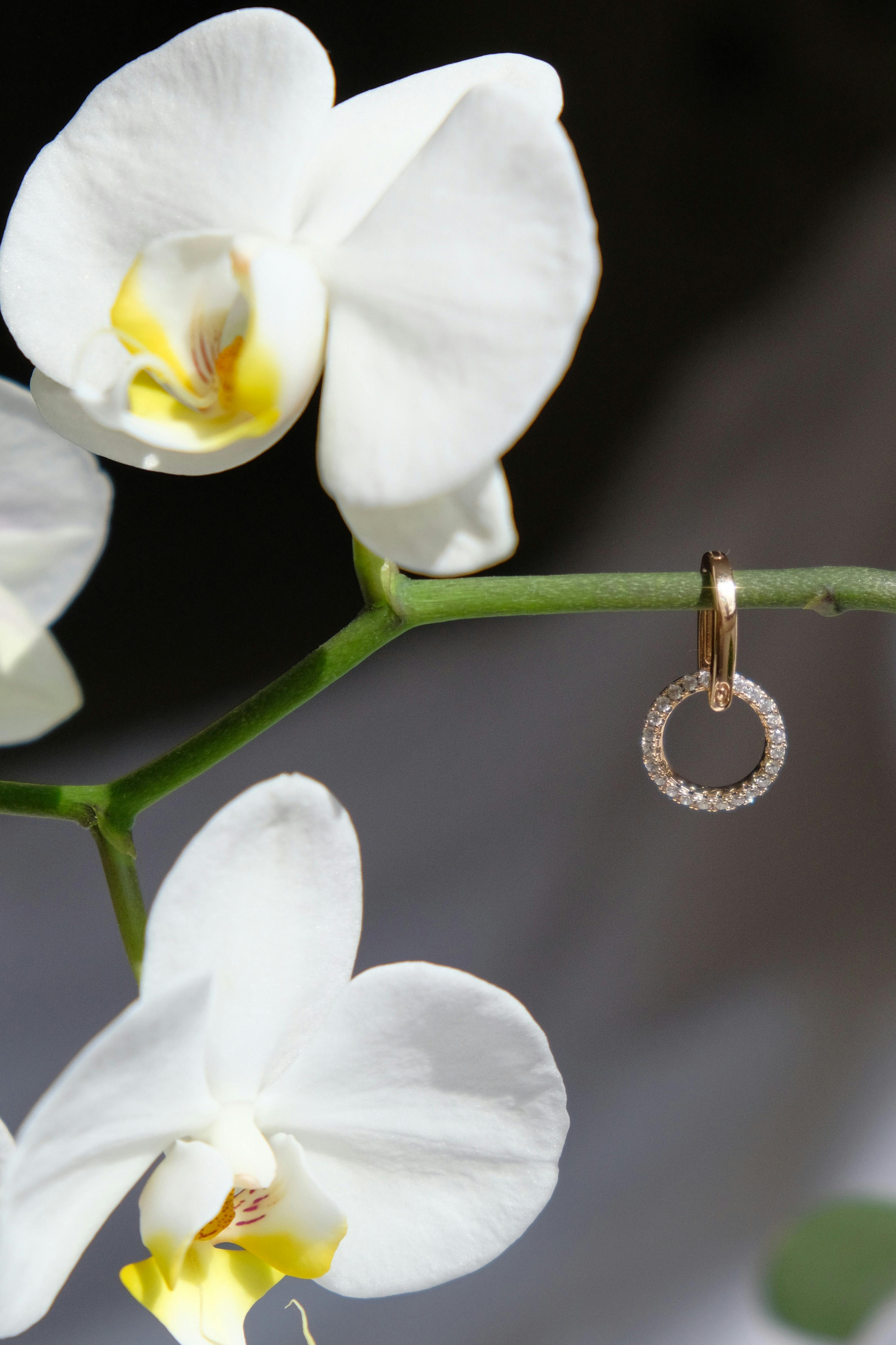 Gold Earring on Green Stem · Free Stock Photo