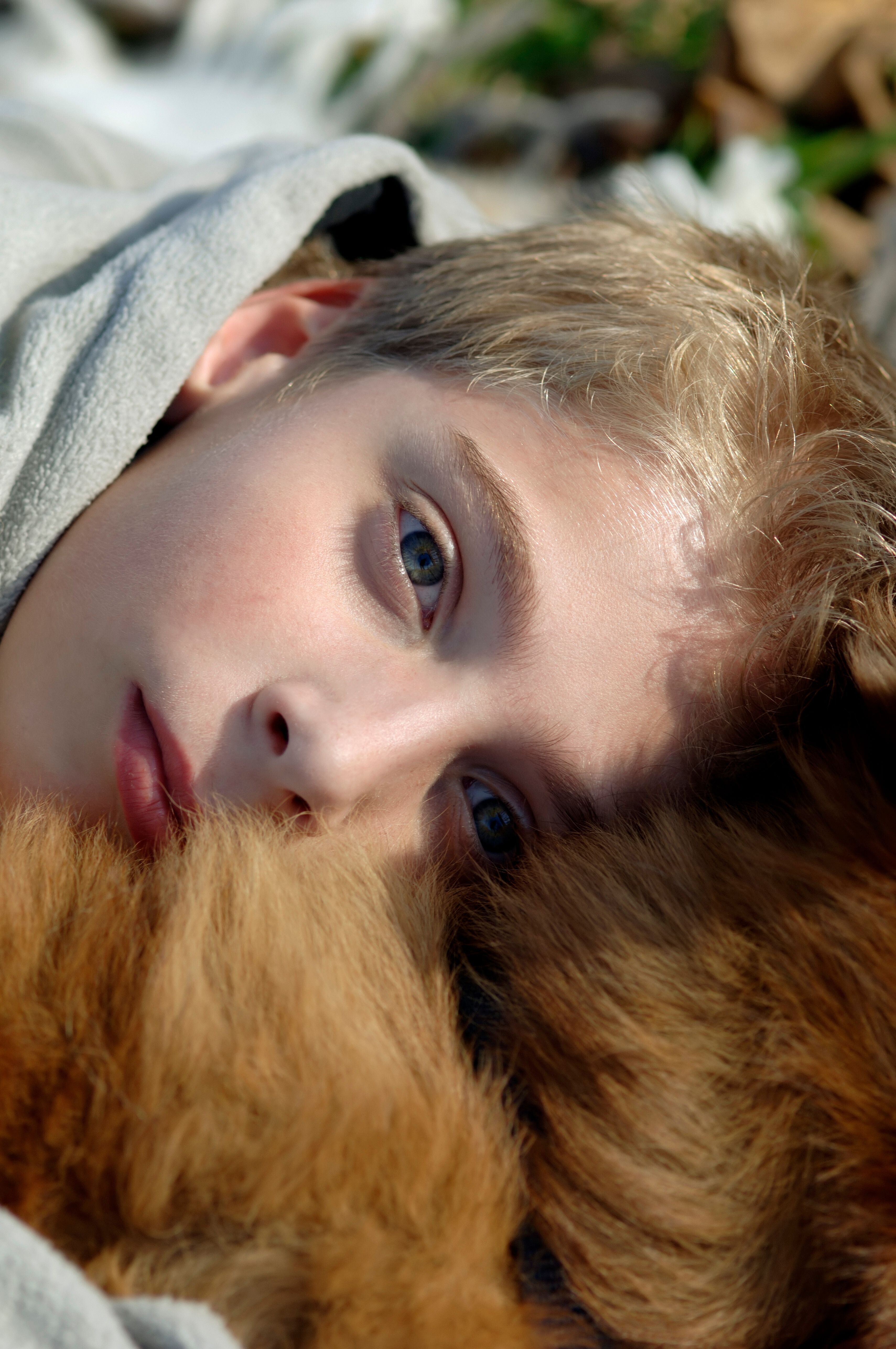 Boy Lying on Brown Fur Textile · Free Stock Photo