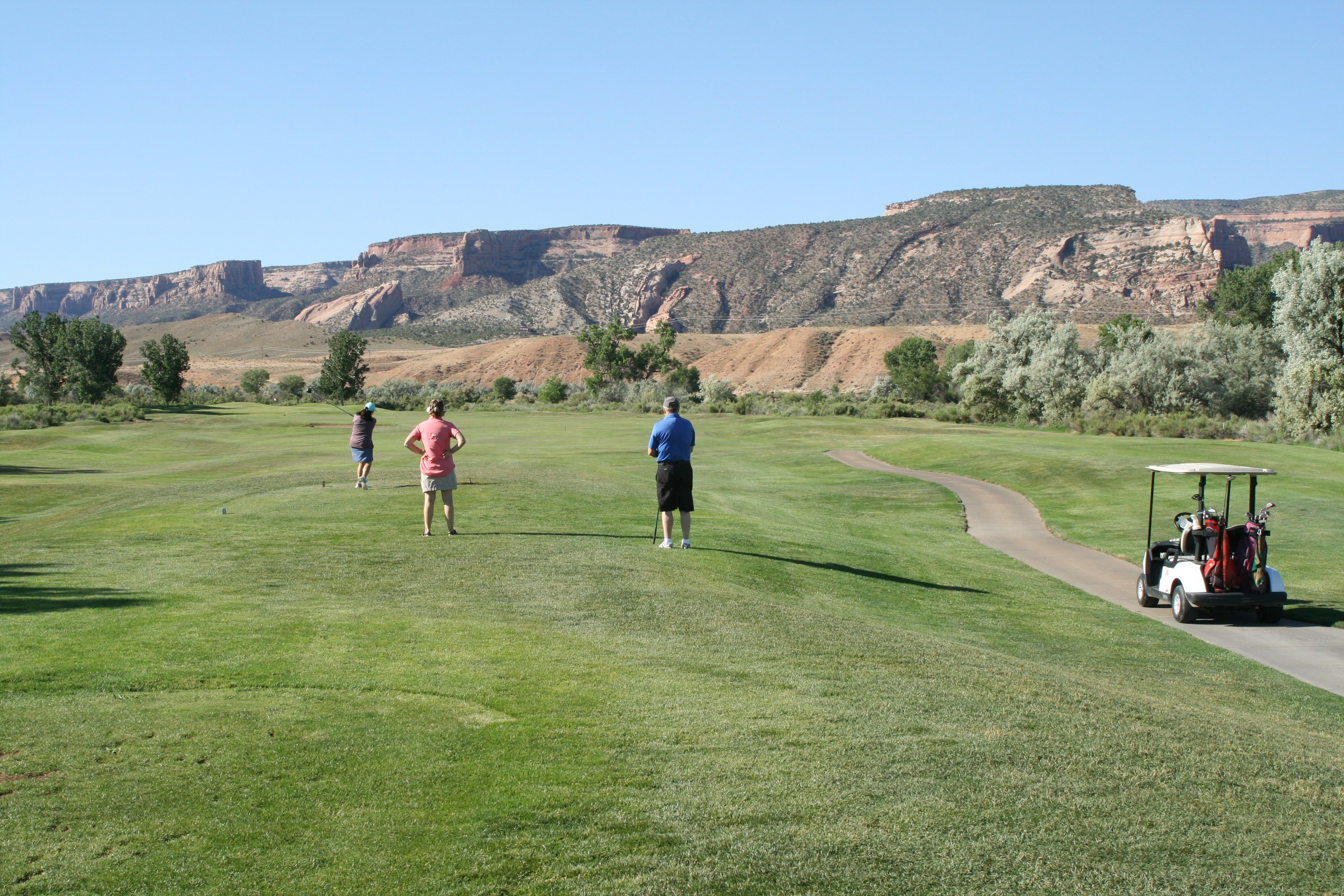 People Playing Golf on the Grass Field · Free Stock Photo