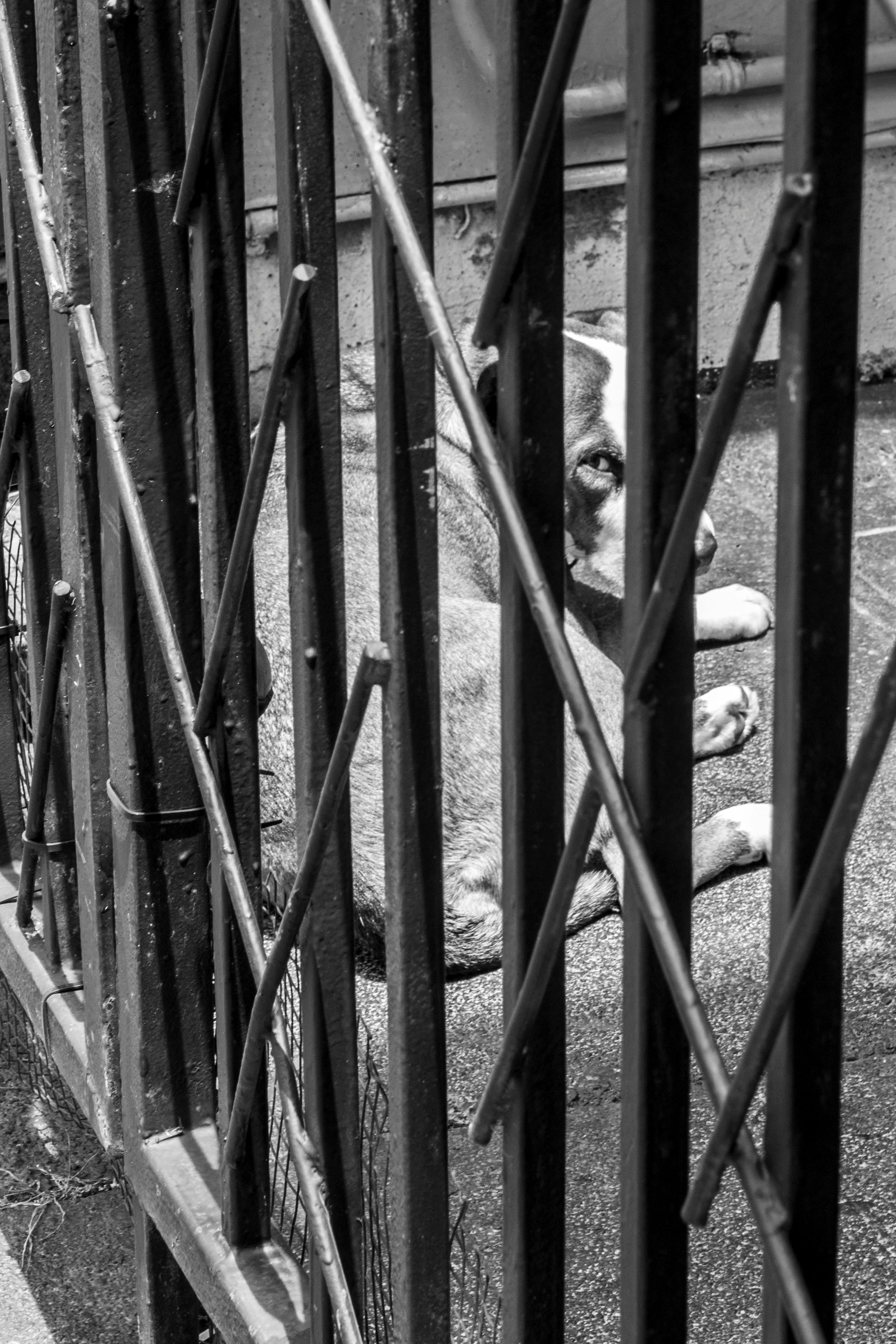 Isi Parente - Photography