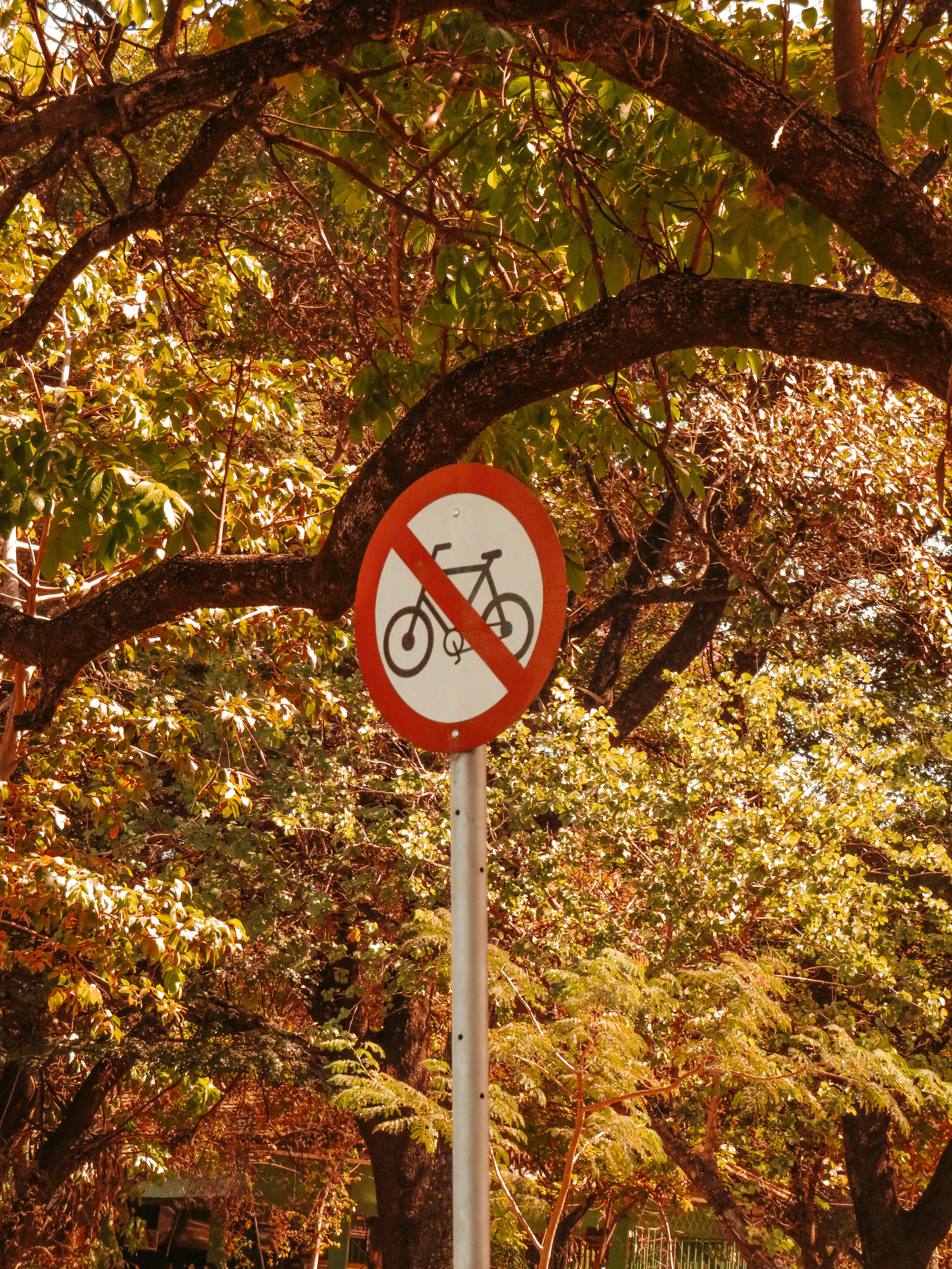 Red and White Road Sign Under the Tree · Free Stock Photo