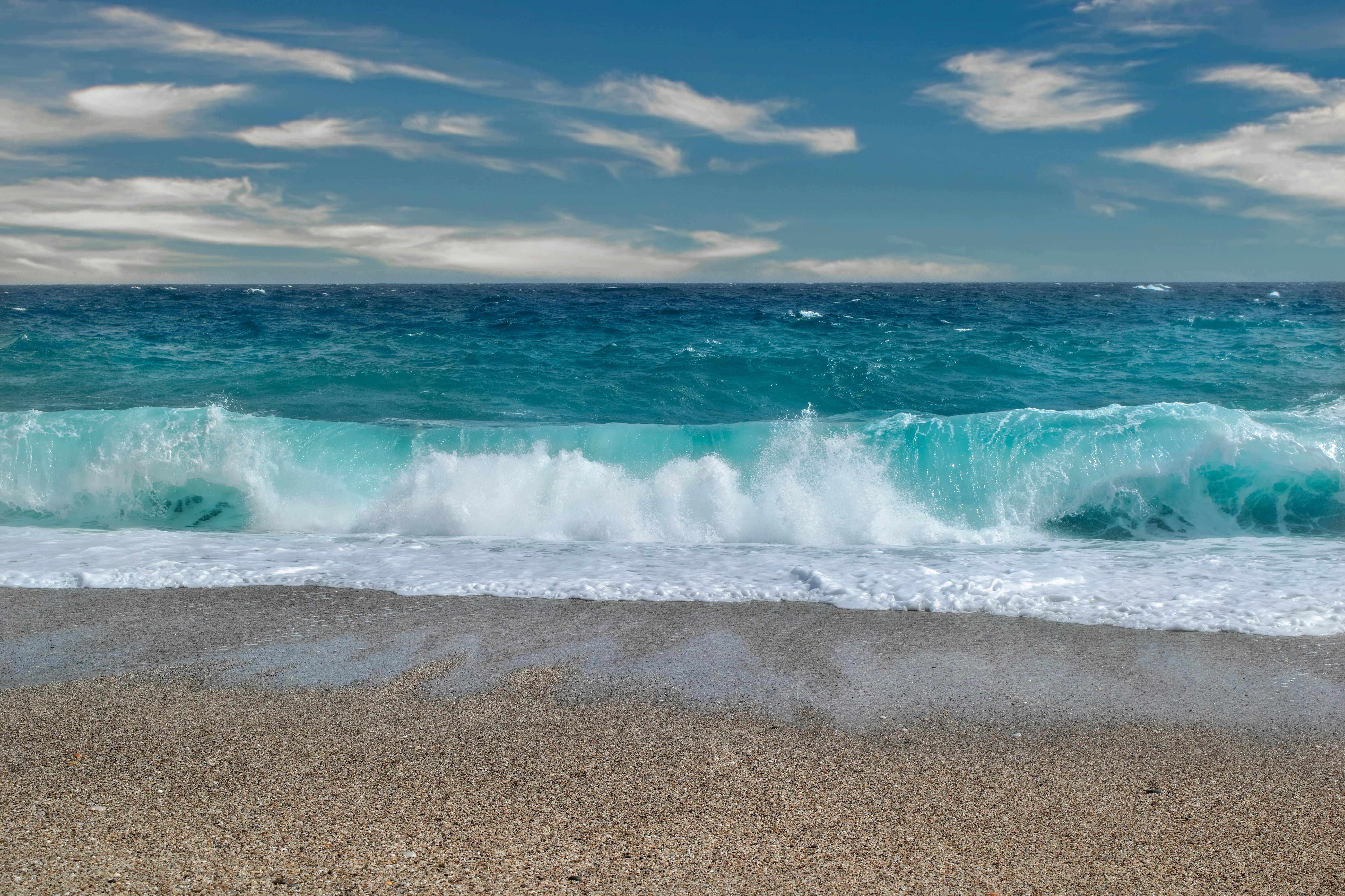 A Wave Crashing on the Shore · Free Stock Photo
