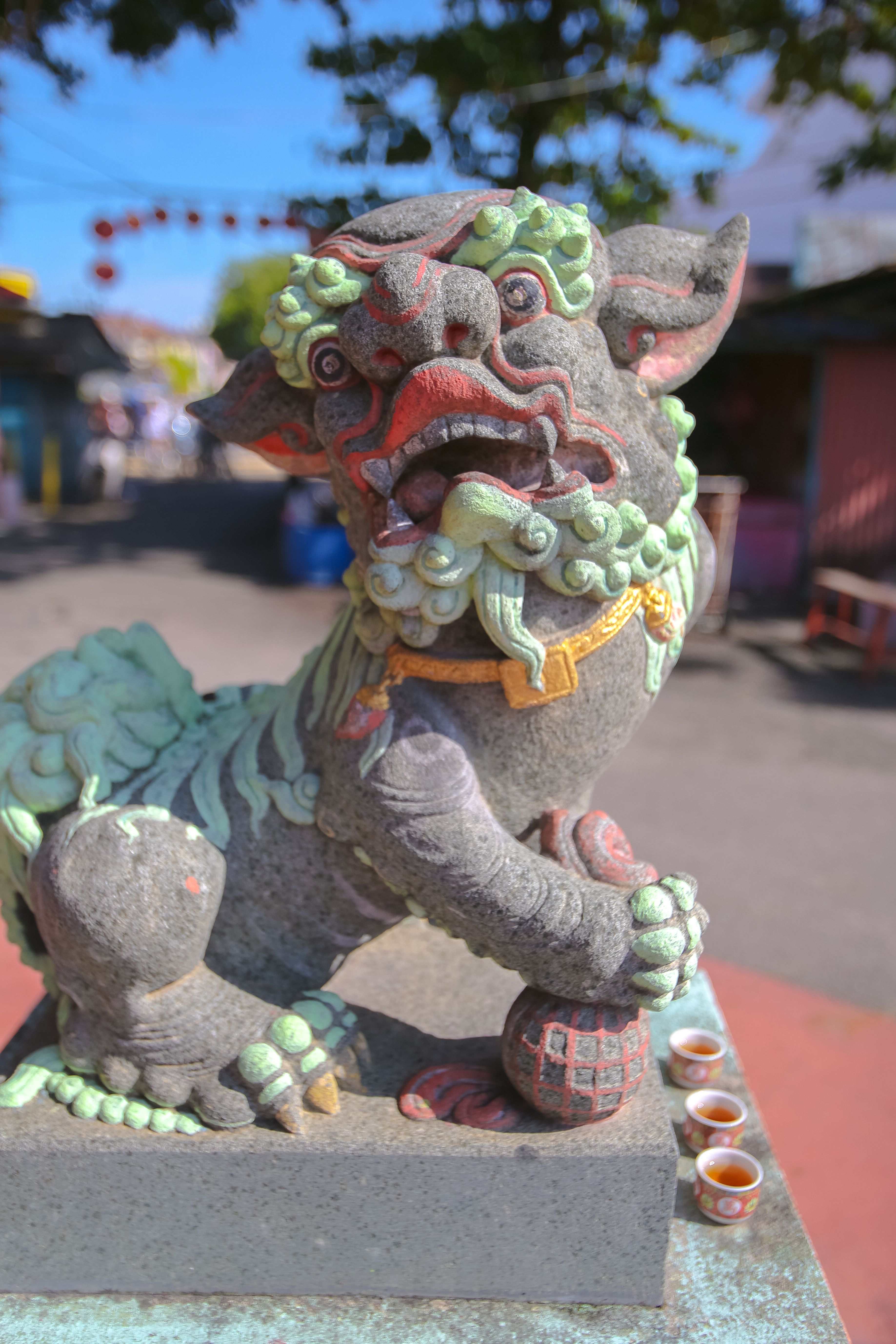Close-up of a Dragon · Free Stock Photo