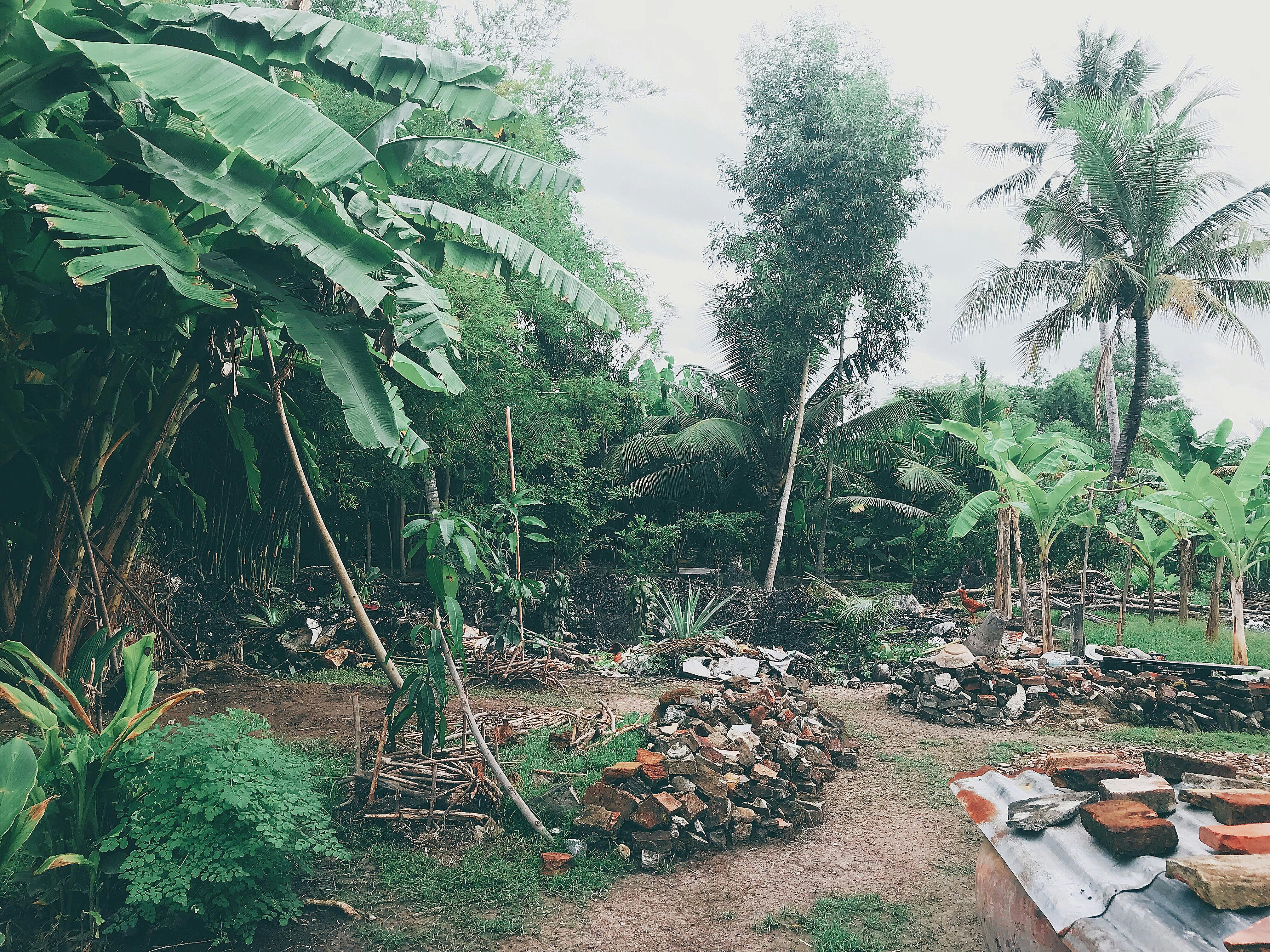 Free stock photo from Bich · Pexels