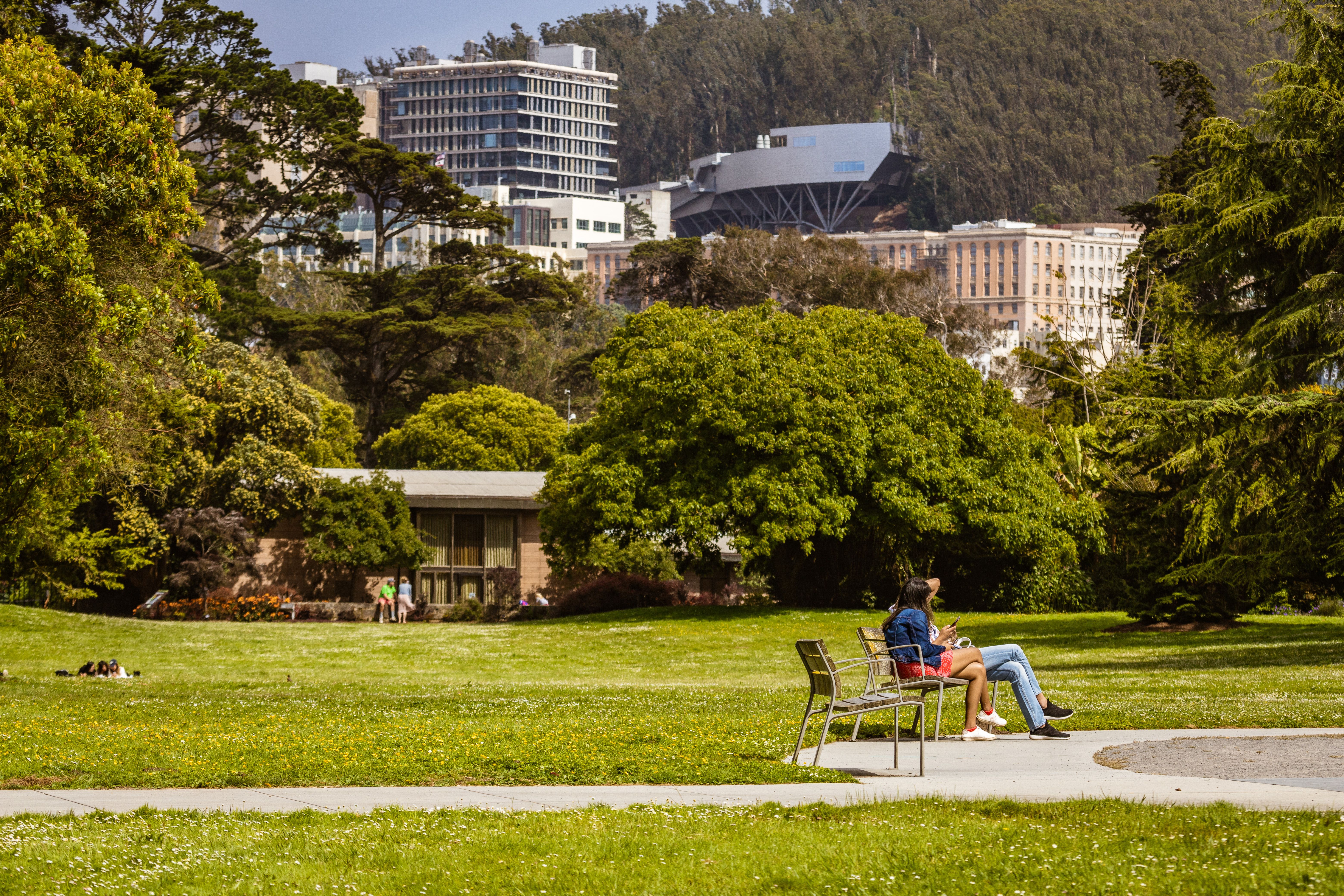 People at a Park · Free Stock Photo