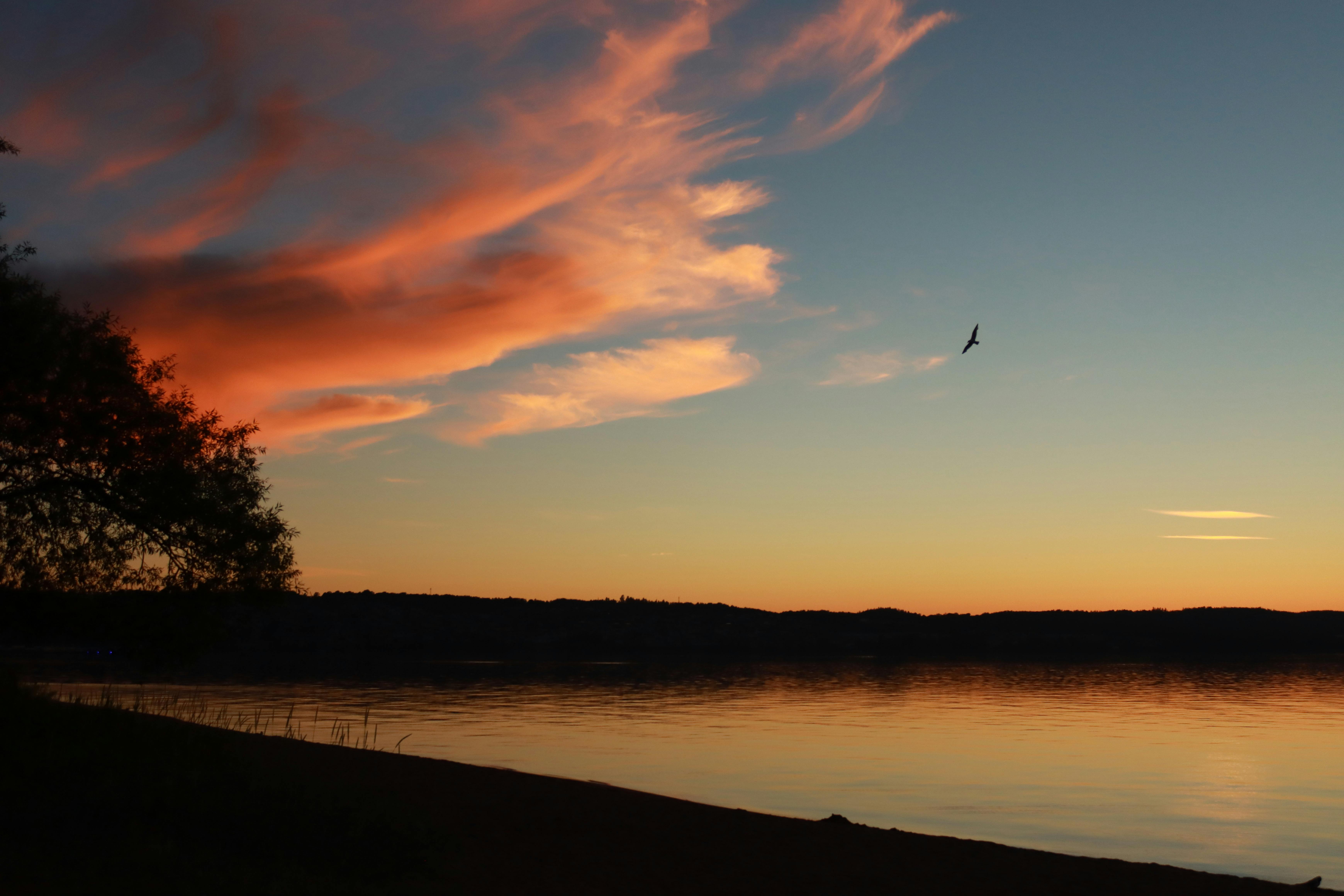 View of a Lake During Golden Hour · Free Stock Photo