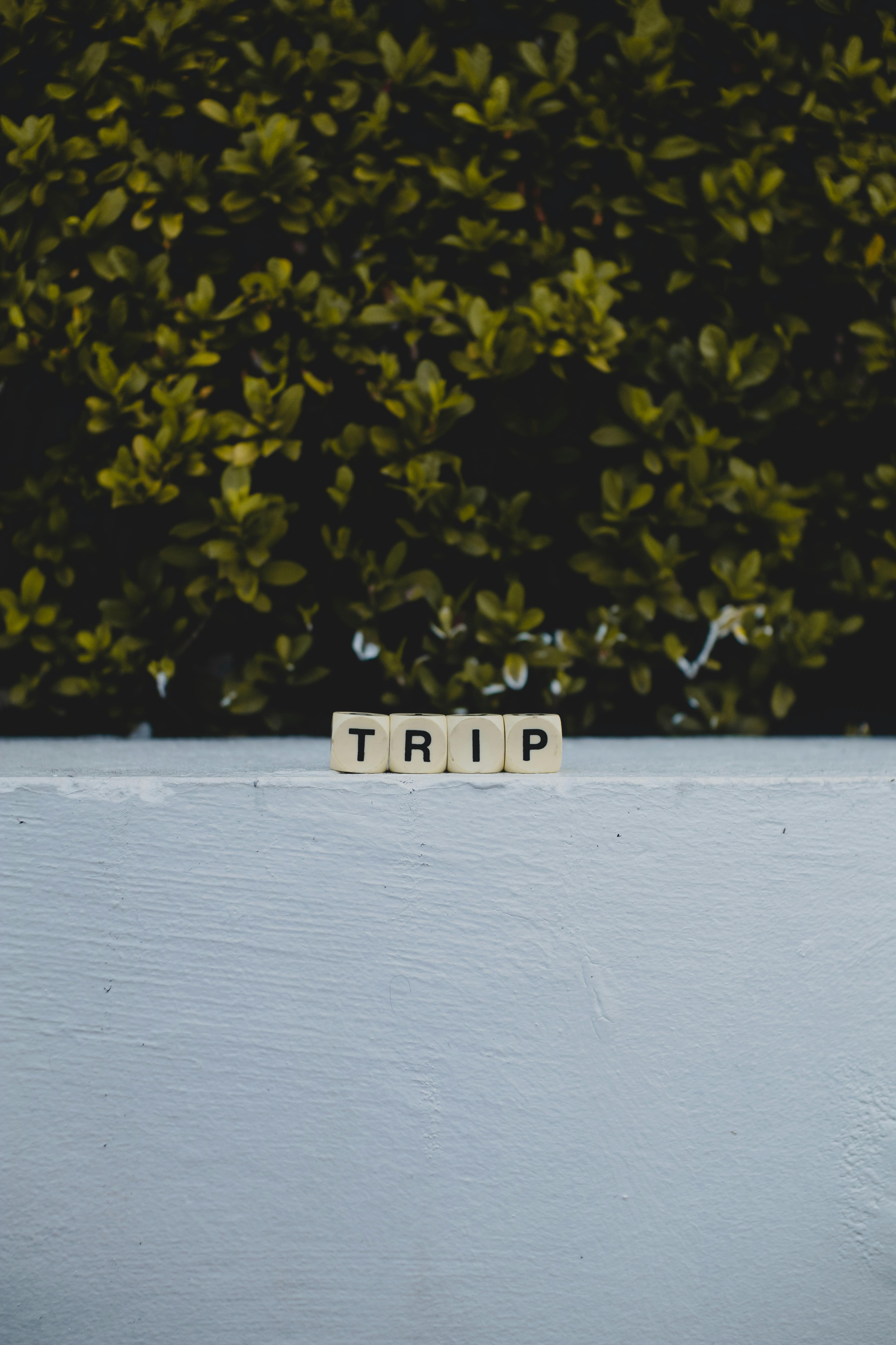 Trip Sign on Wall · Free Stock Photo