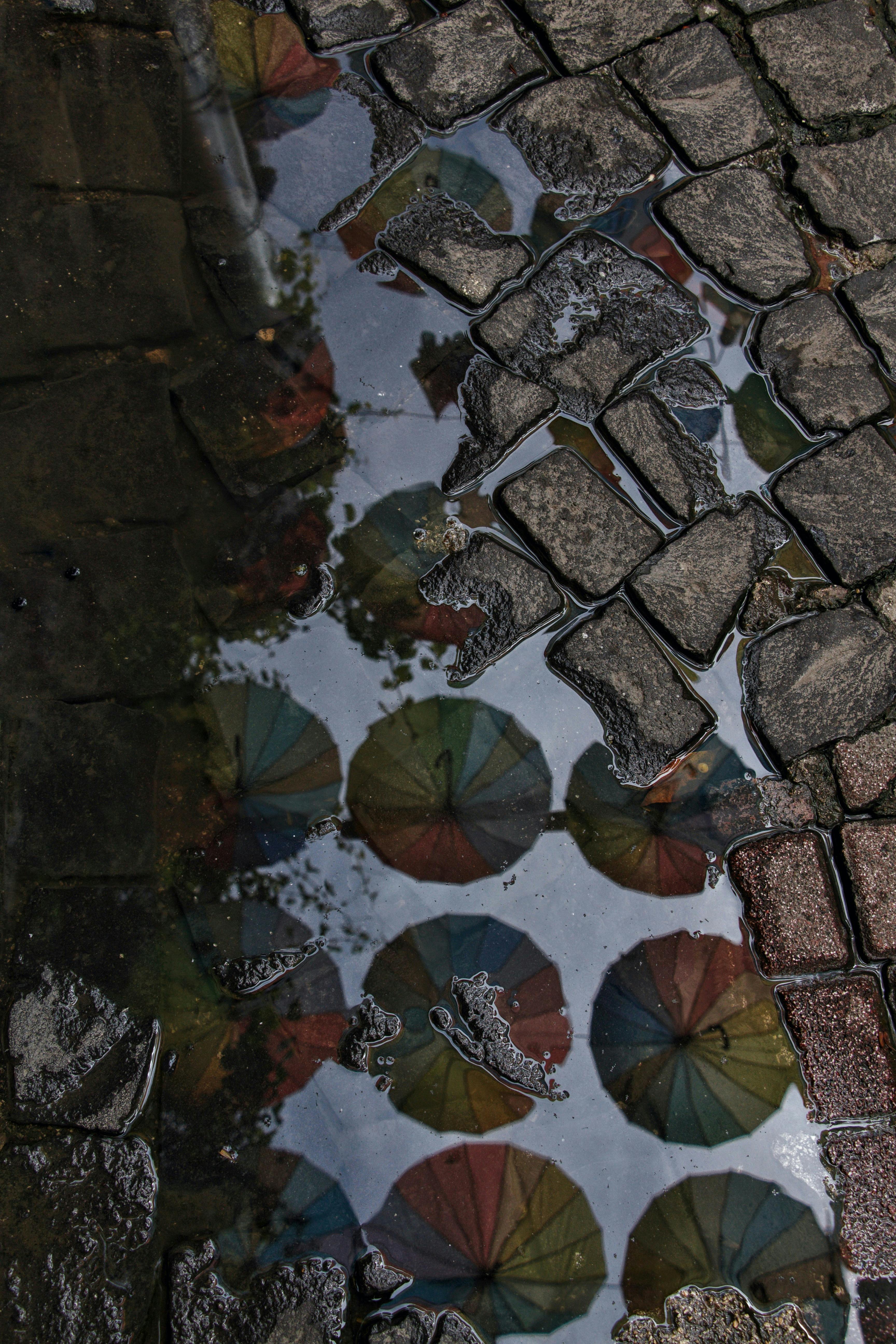 Puddle on a Cobblestone Street · Free Stock Photo