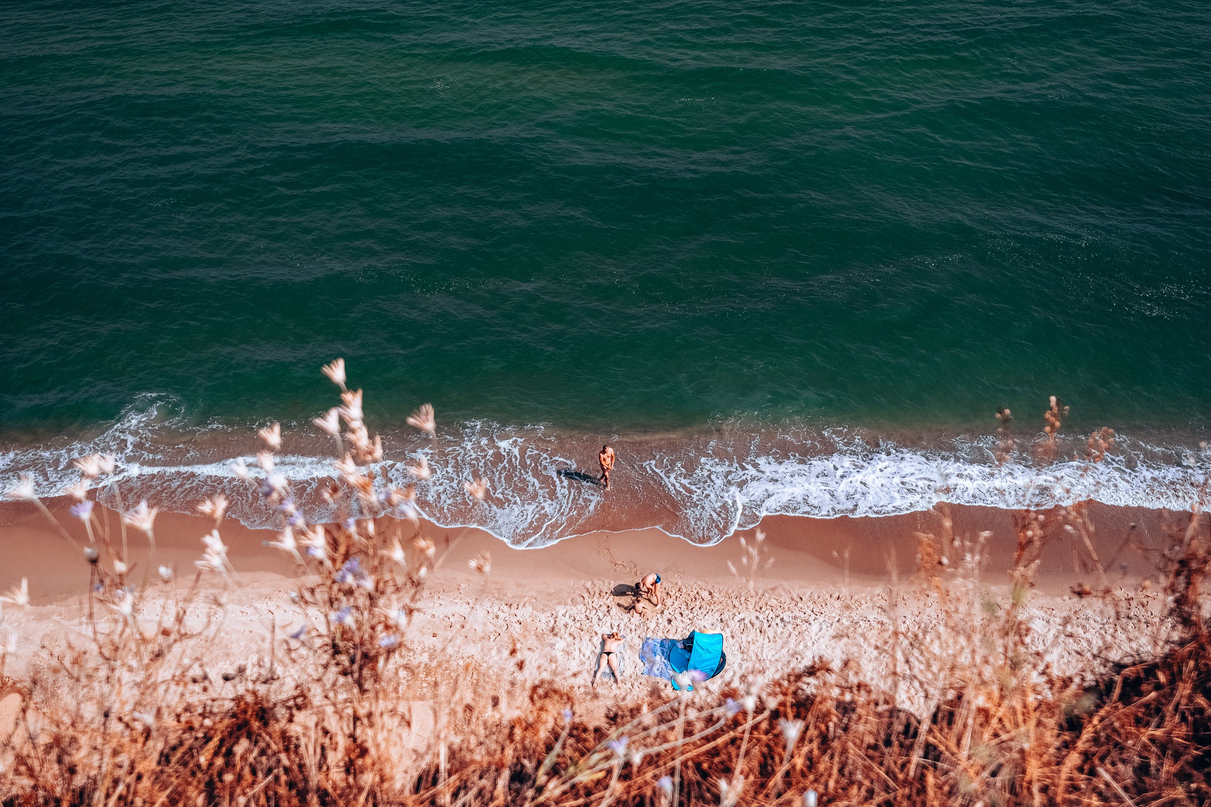People on Beach on Sea Shore · Free Stock Photo