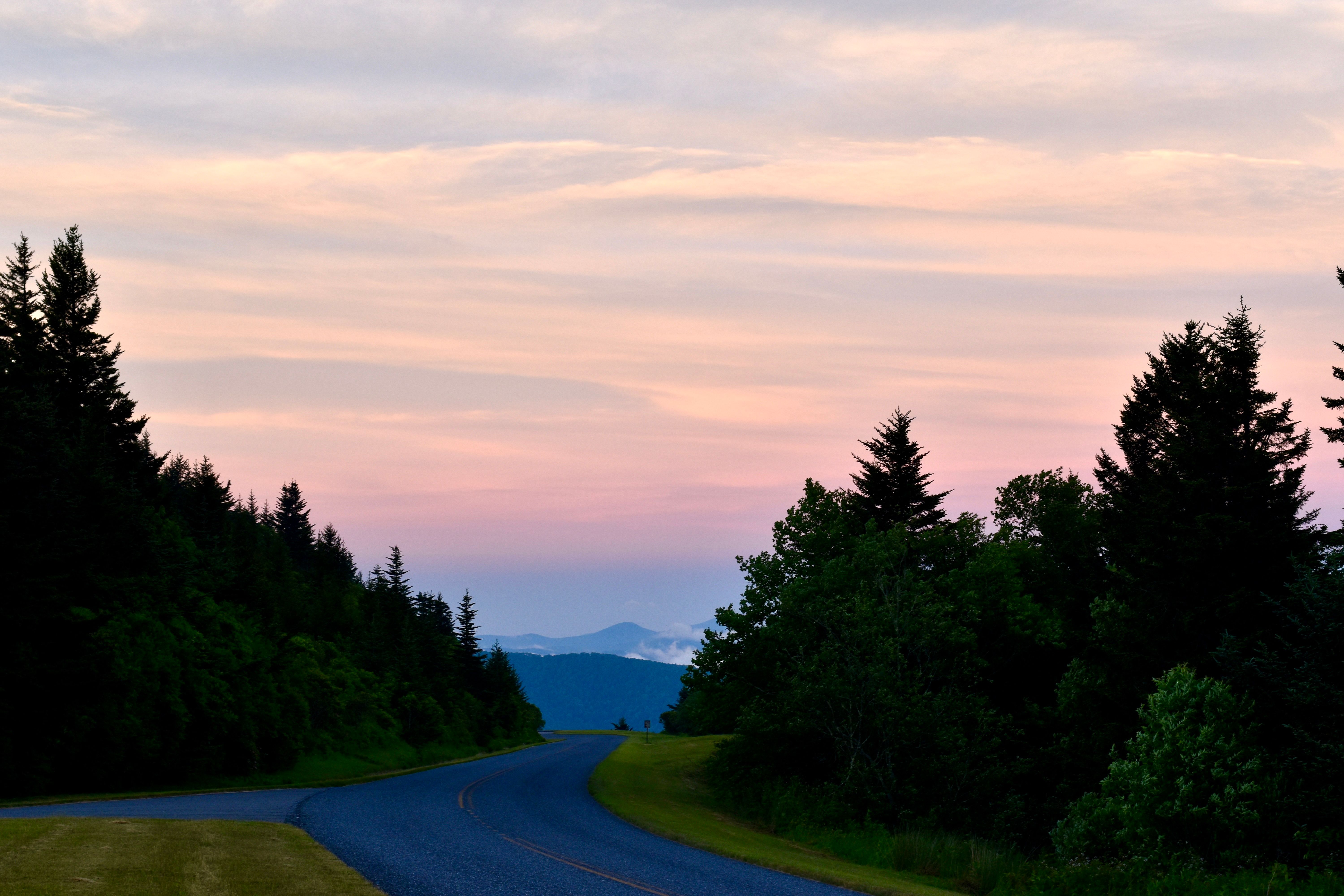 Empty Mountain Road Between trees · Free Stock Photo