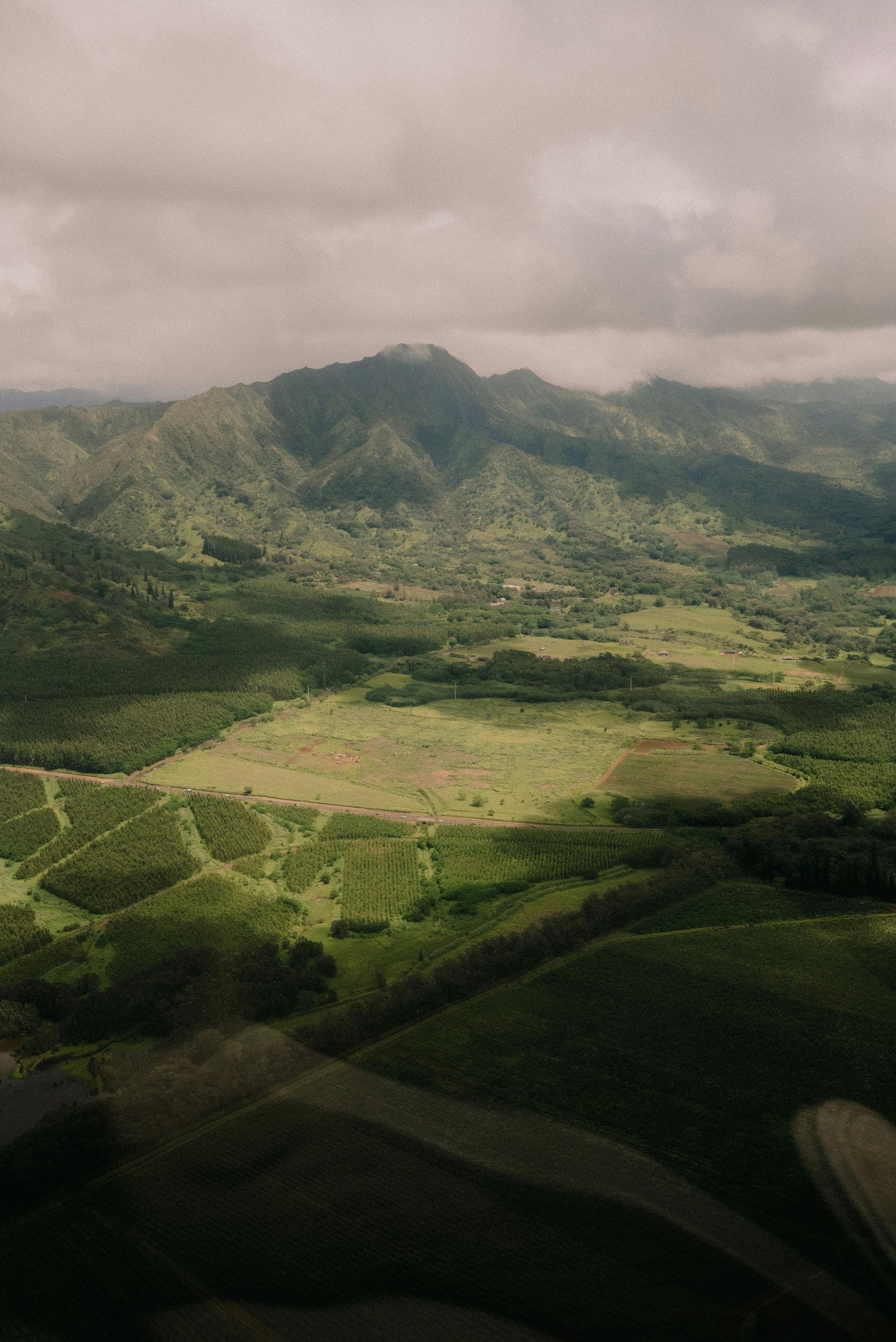 Foto de stock gratuita sobre agricultura, al aire libre, belleza ...
