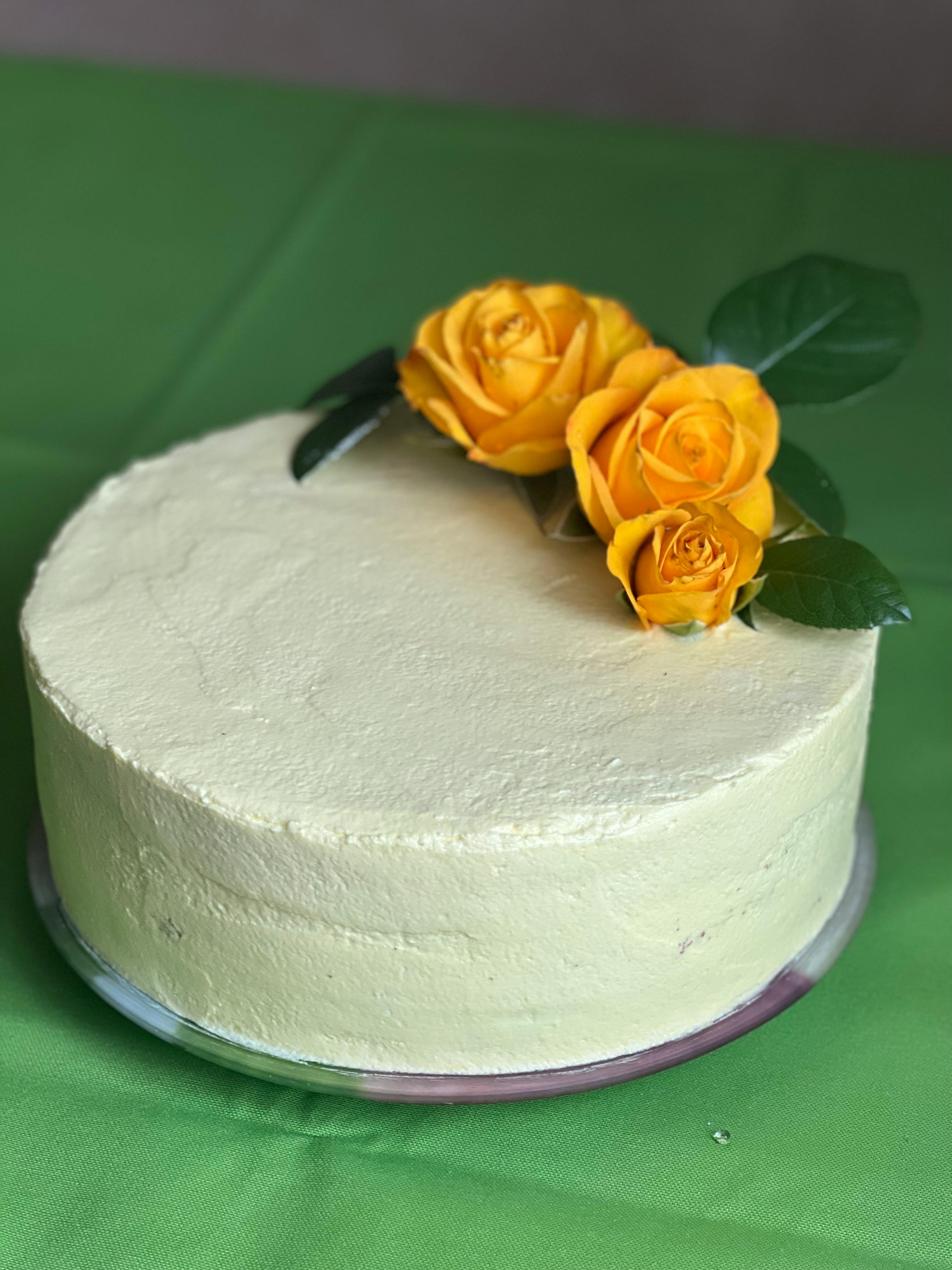 Helena - Photography