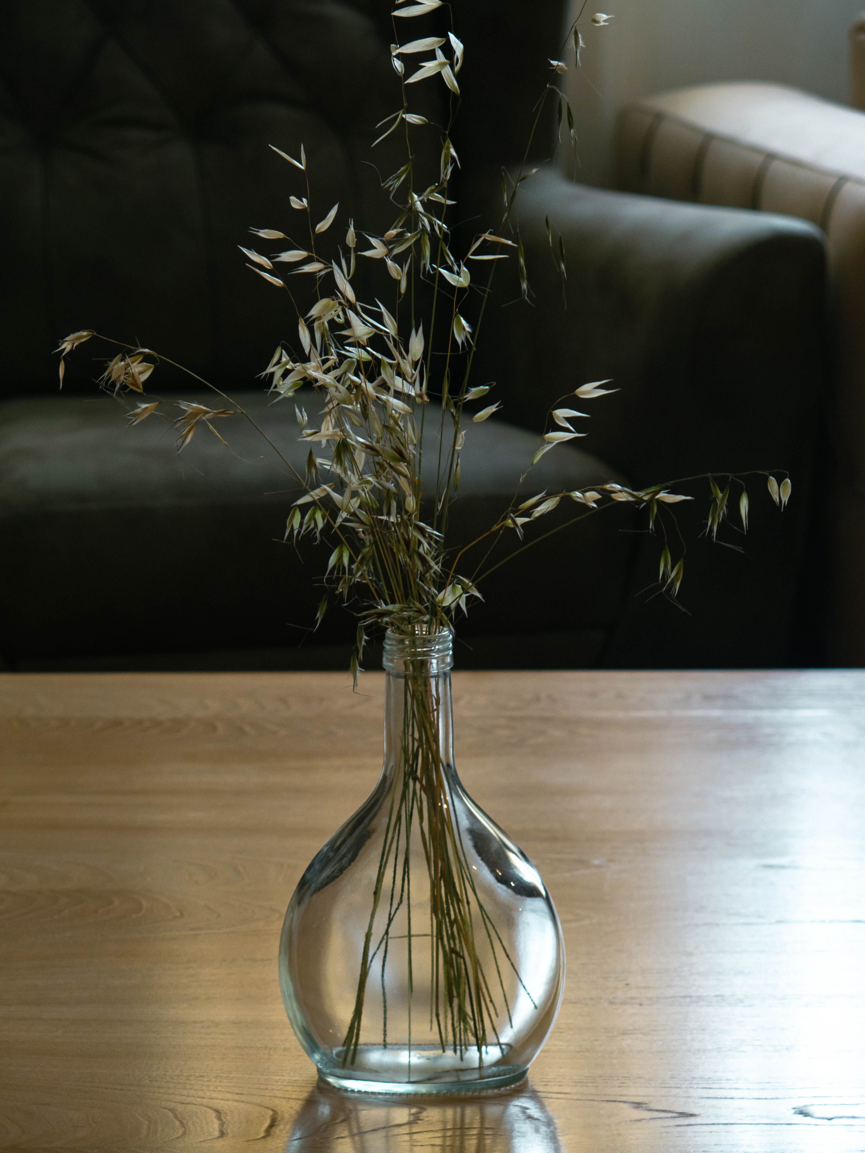 An Indoor Plant in a White Vase Beside an Empty Glass and a Jar of ...
