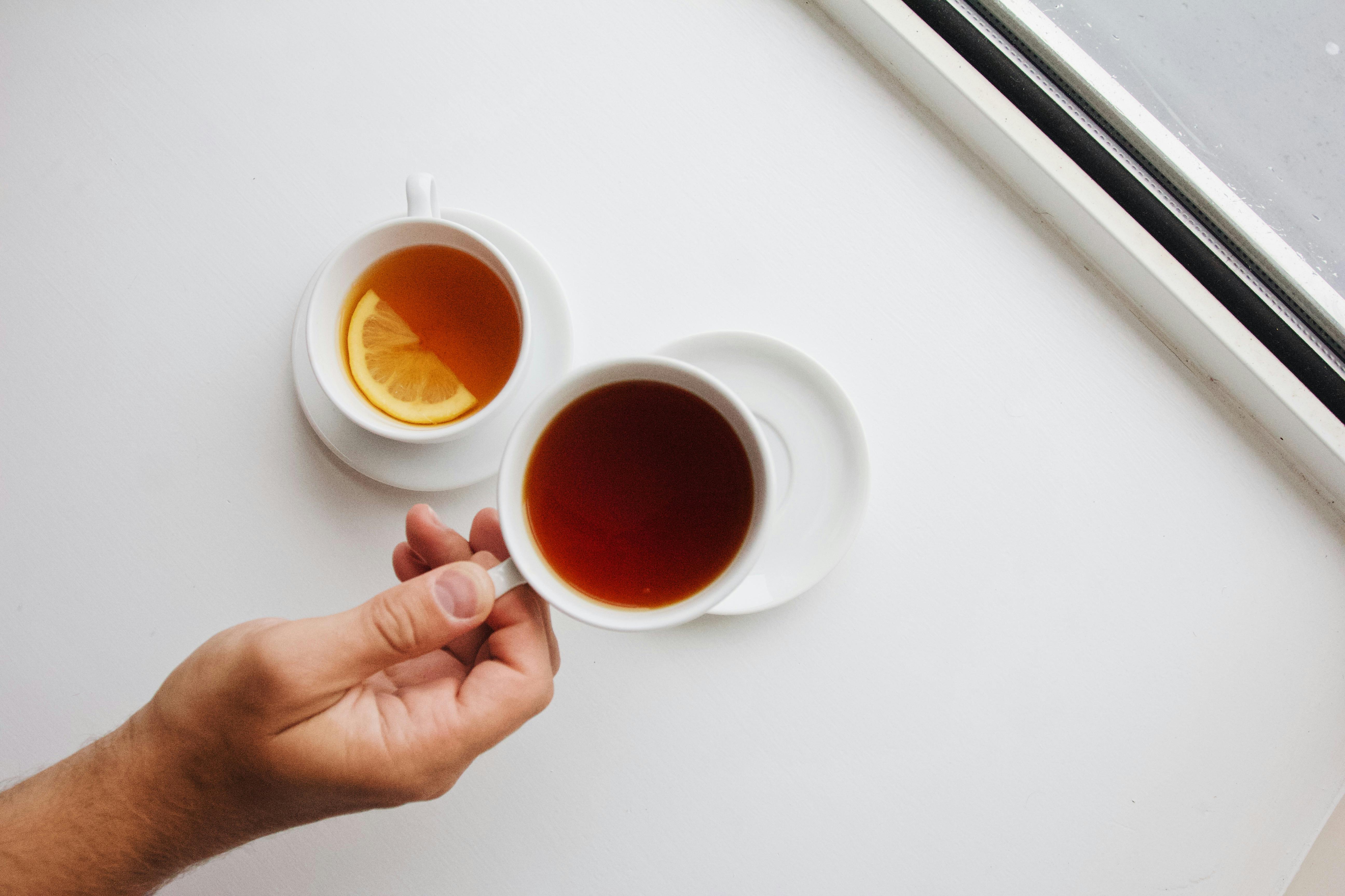 A Person Holding a Cup of Hot Tea · Free Stock Photo