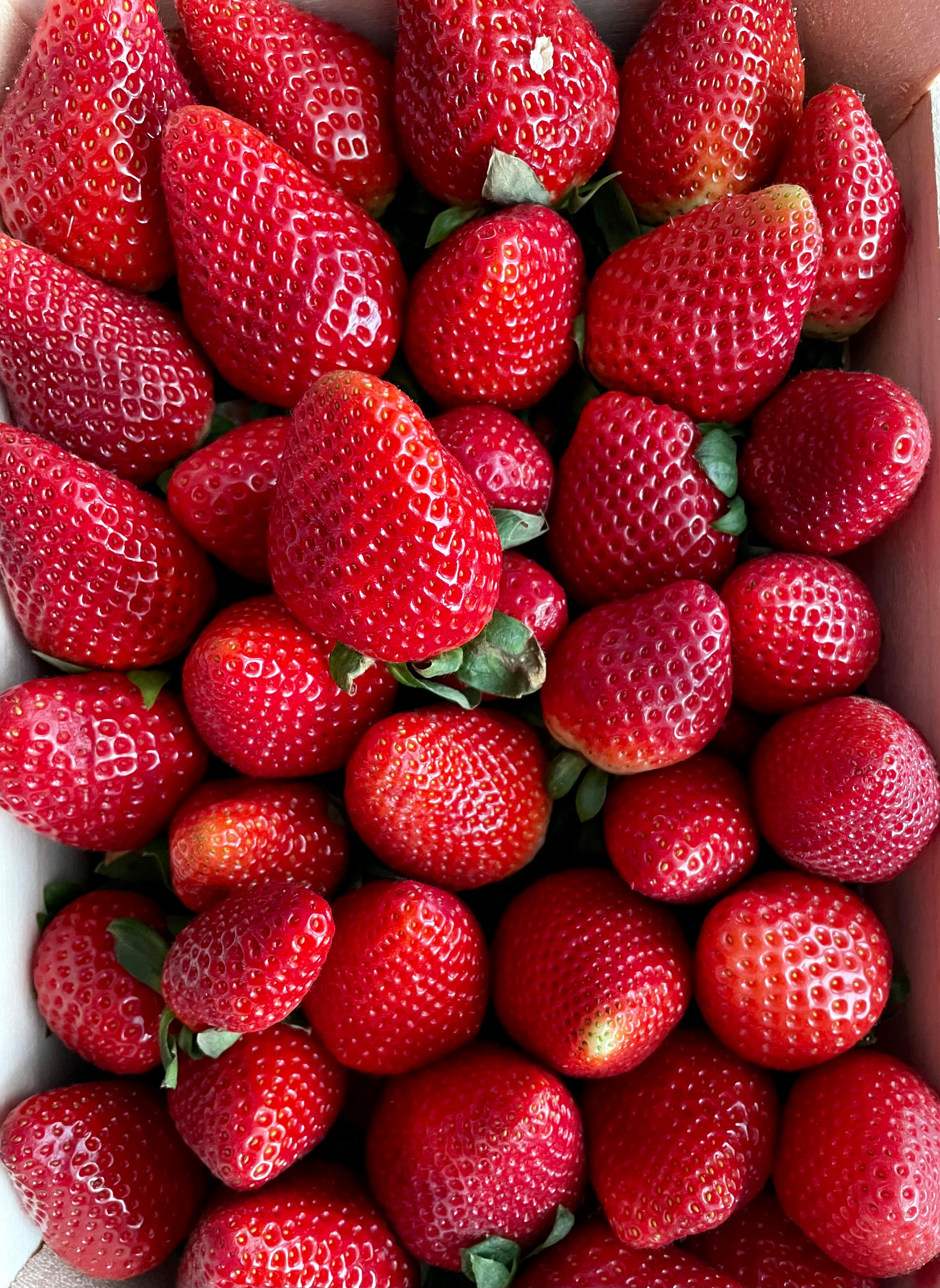 A Close-Up Shot of Strawberries · Free Stock Photo