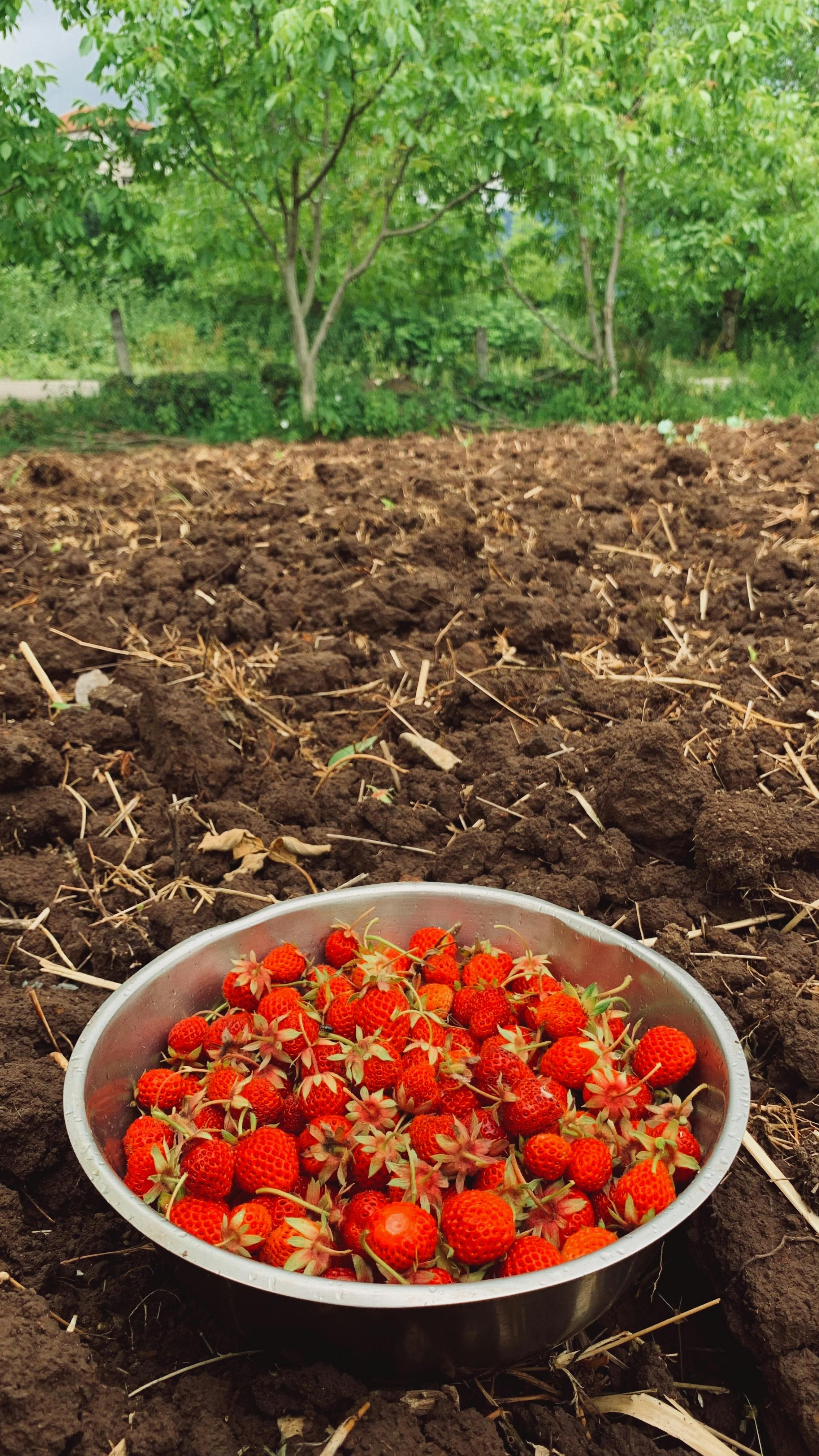 Mavera - Photography