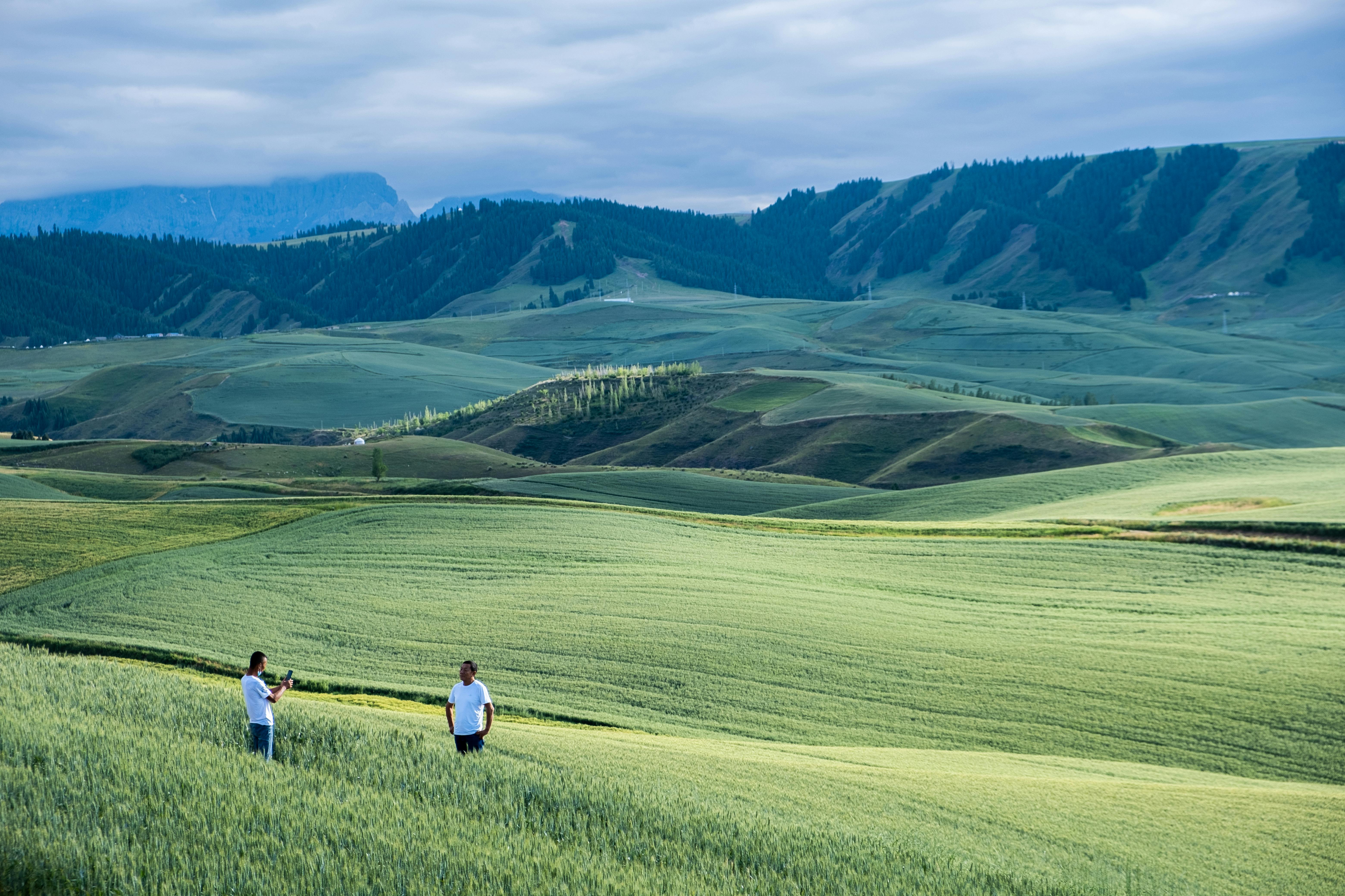 Landscape with Men Standing on the Green Field · Free Stock Photo