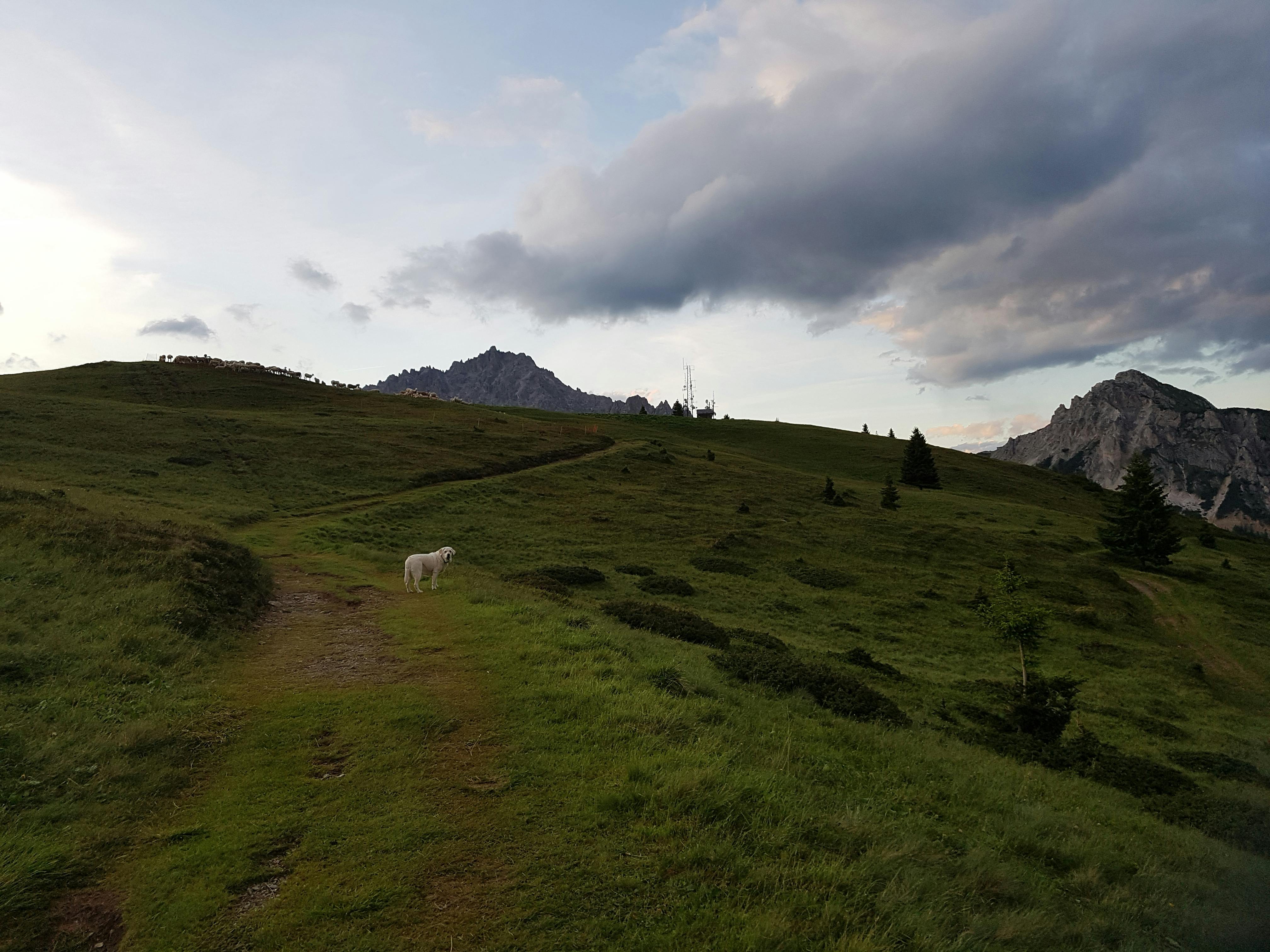 Francesco Ricci - Photography