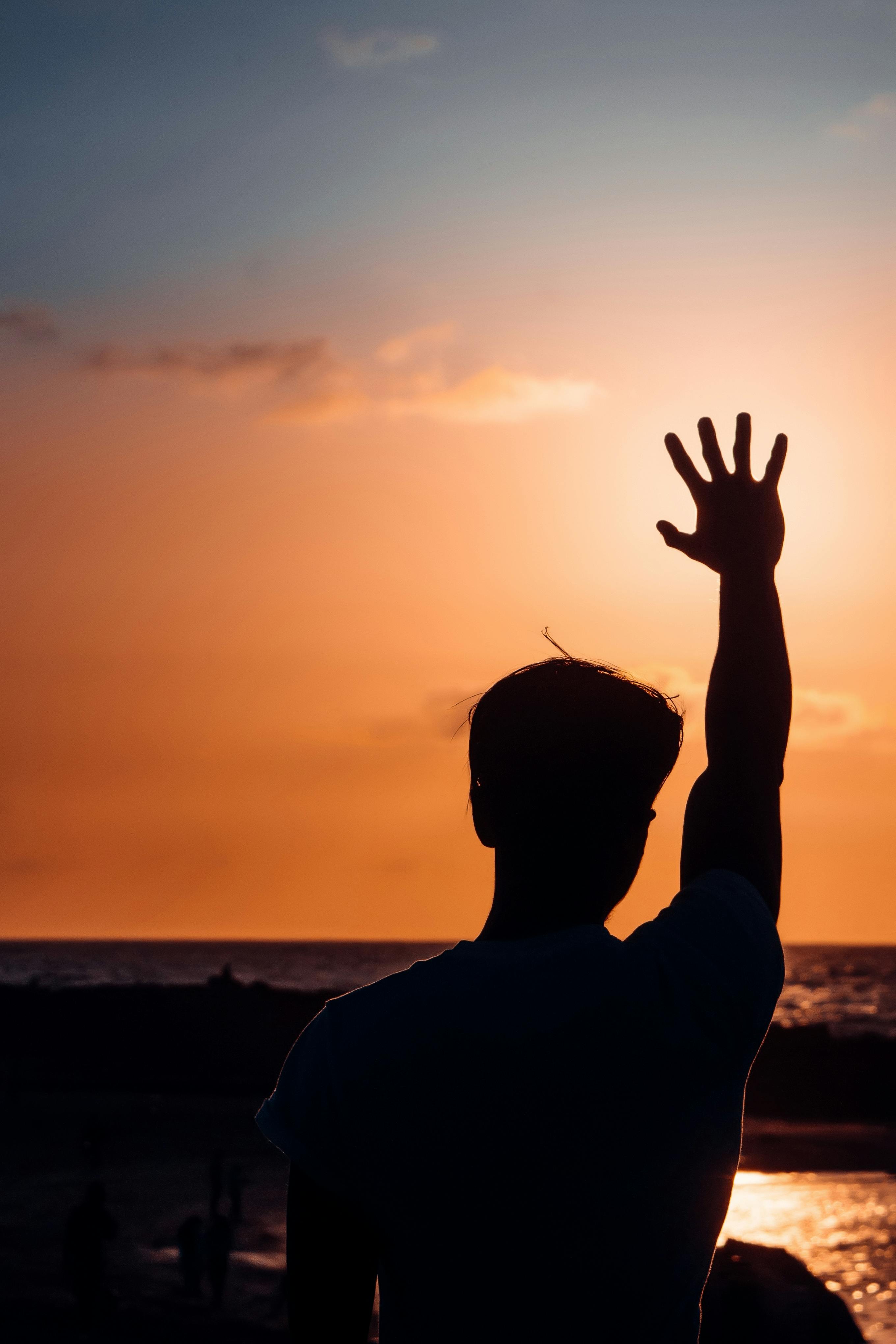 Silhouette of a Man Raising His Hand · Free Stock Photo