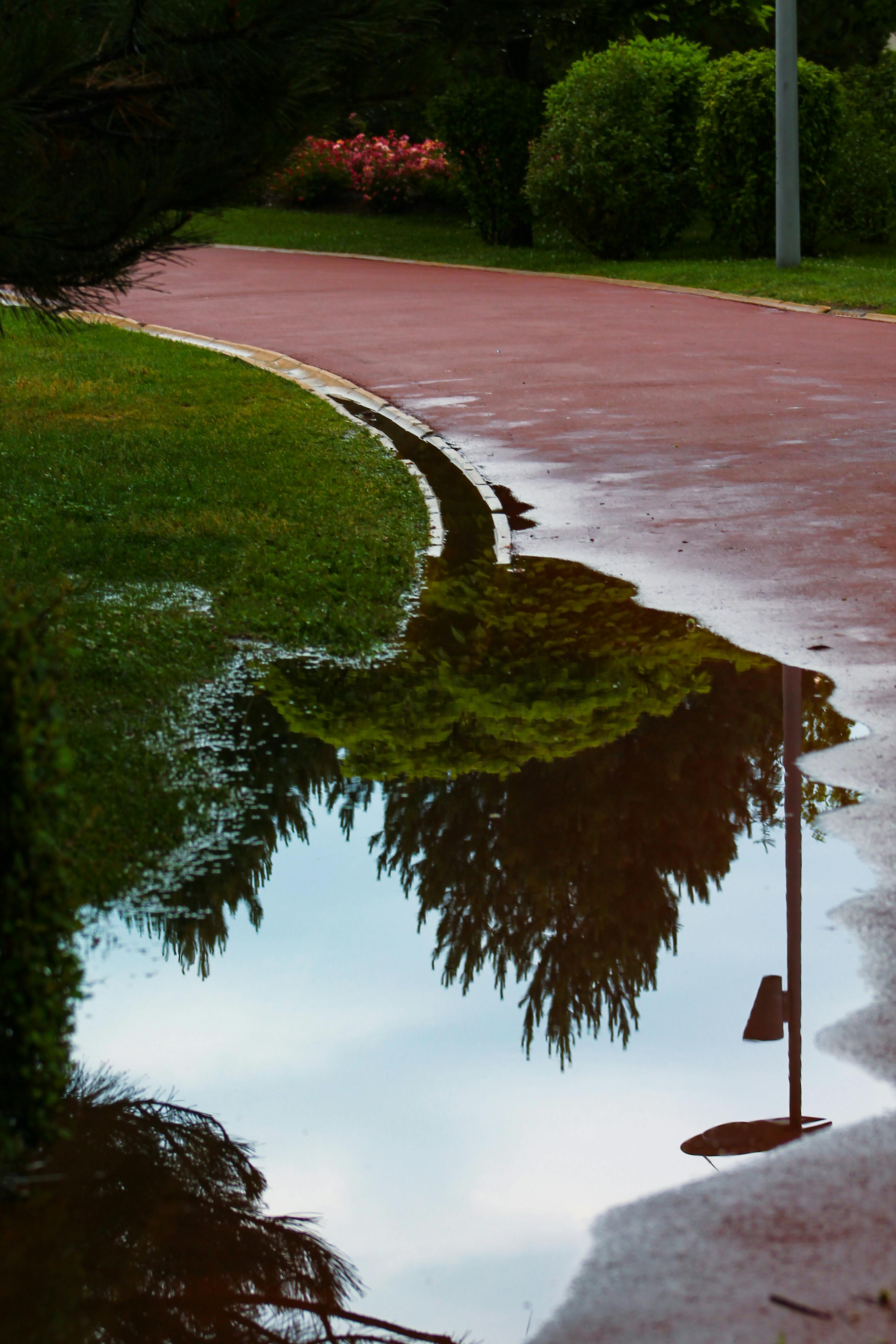 Pavement Path in Urban Park · Free Stock Photo