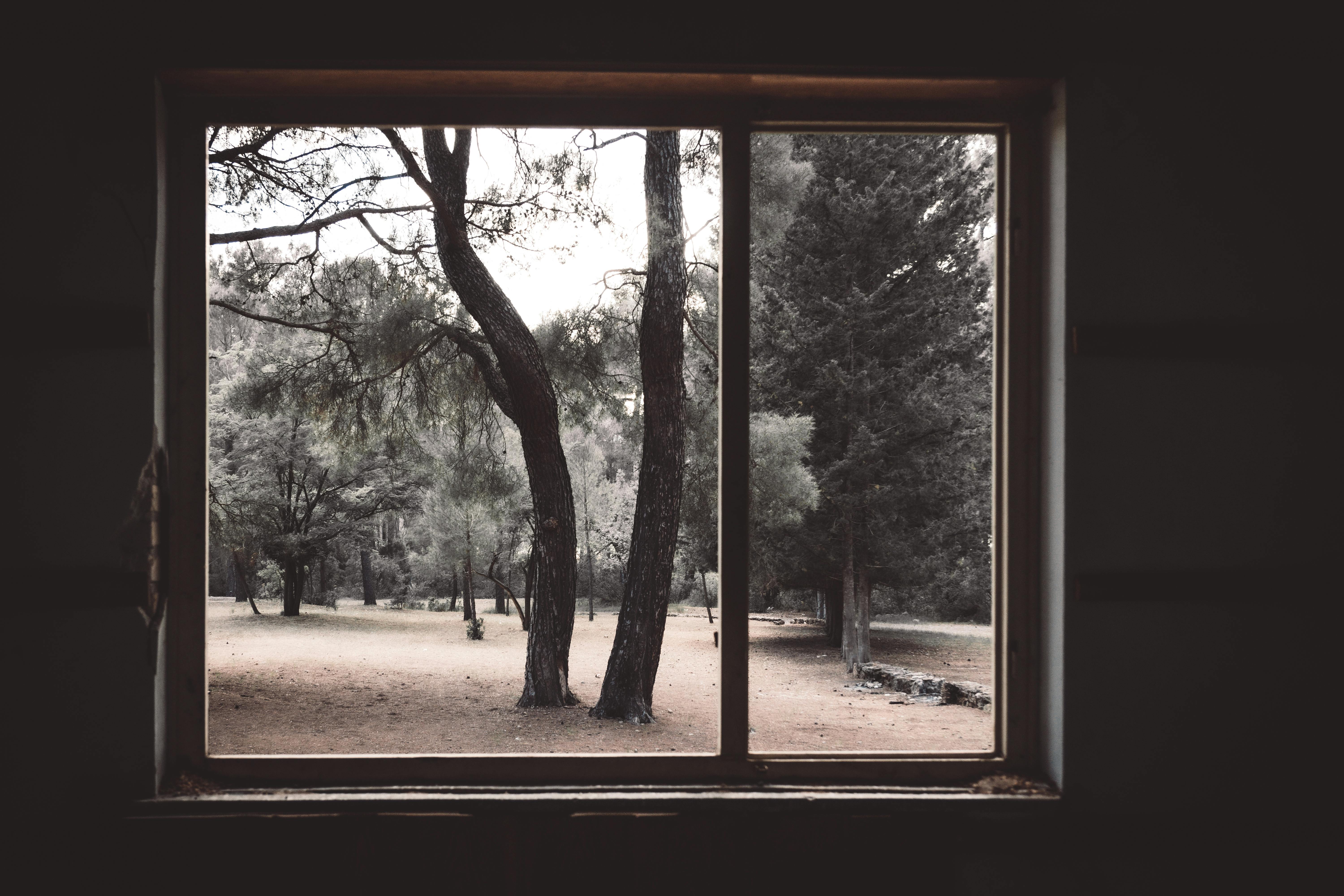 View of Trees from Glass Window · Free Stock Photo