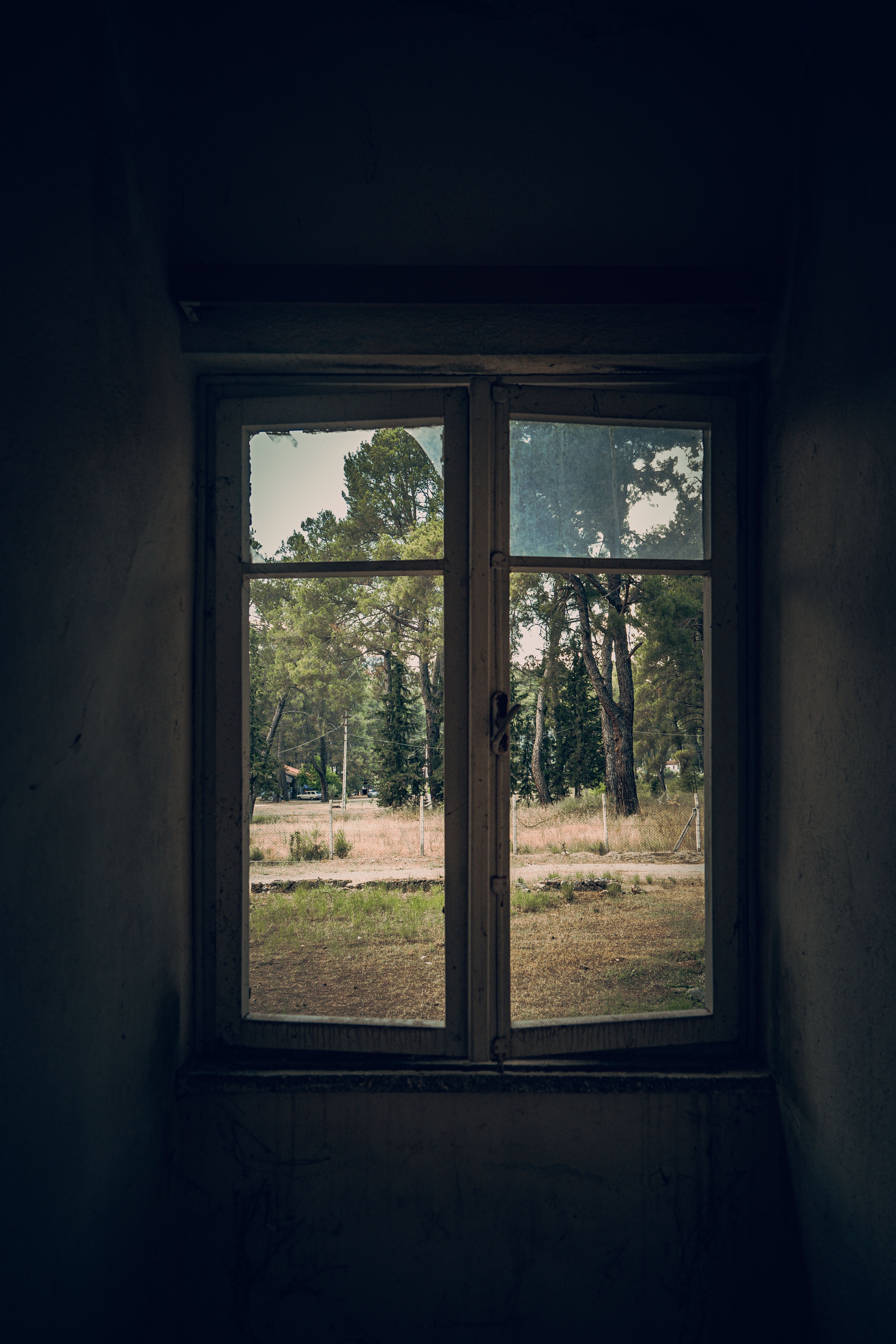 Photograph of a Window Near Trees · Free Stock Photo