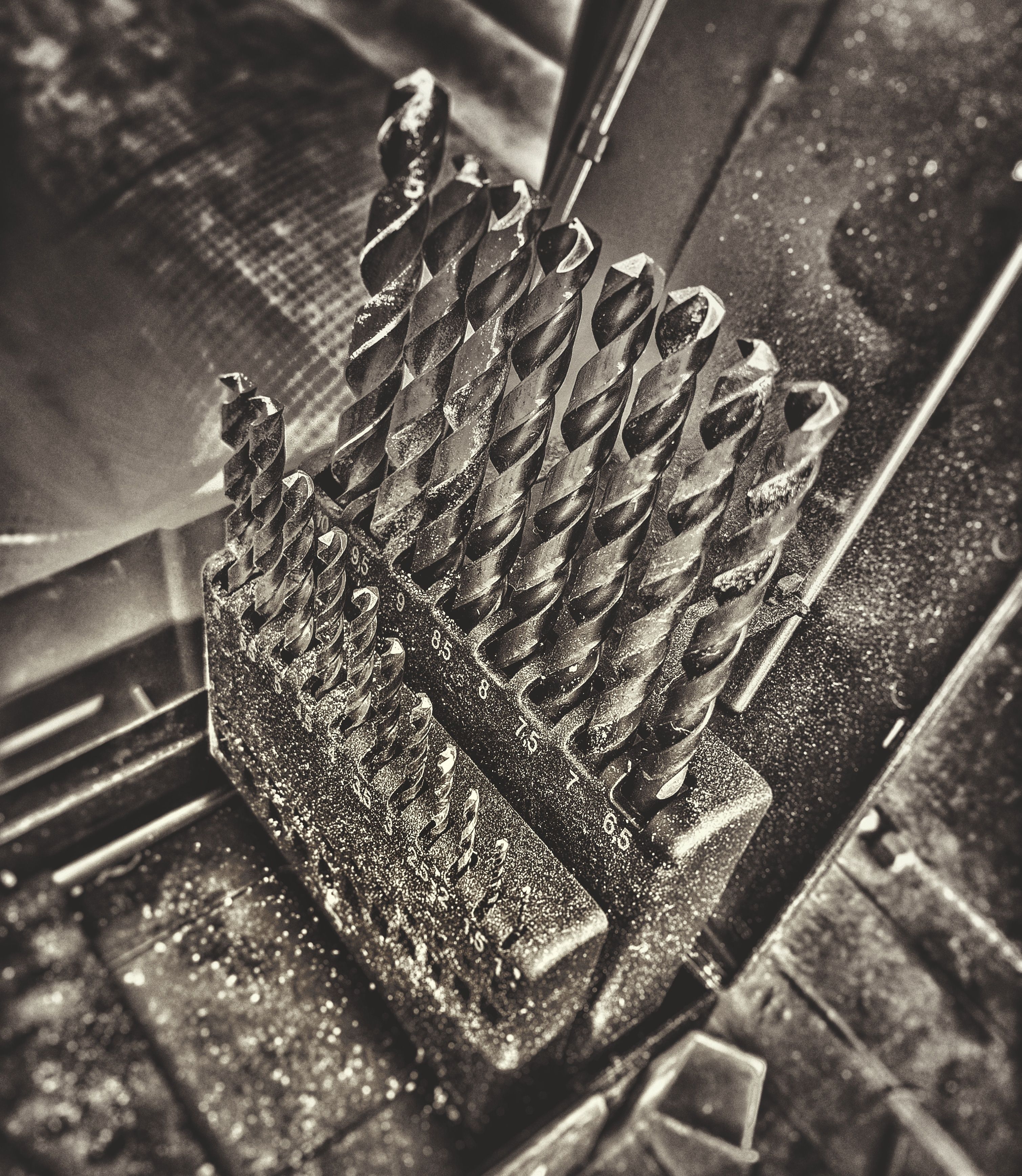 Daniel Nettesheim - Photography