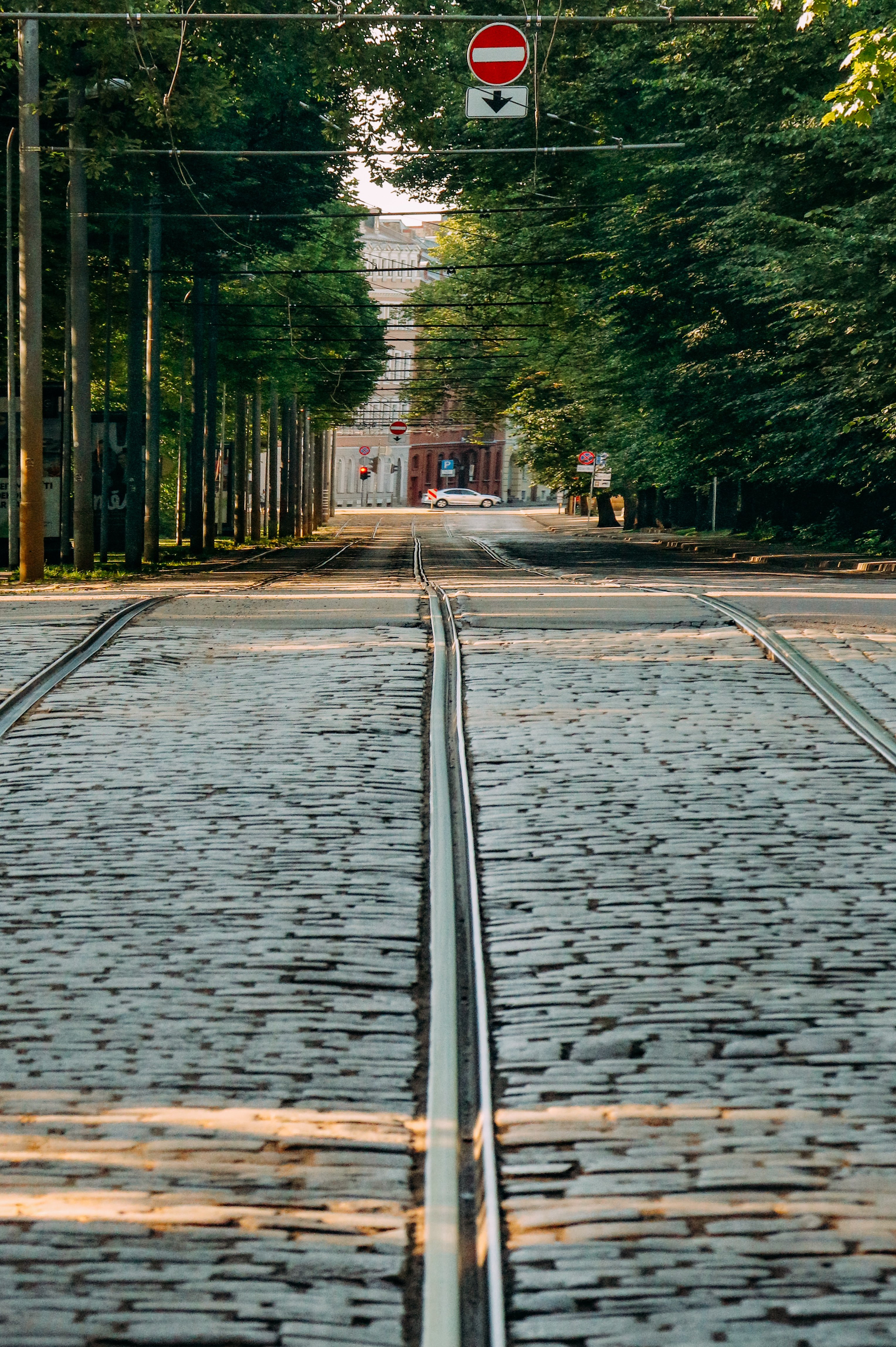 Tramway on Stone Pavement Near Green Trees · Free Stock Photo