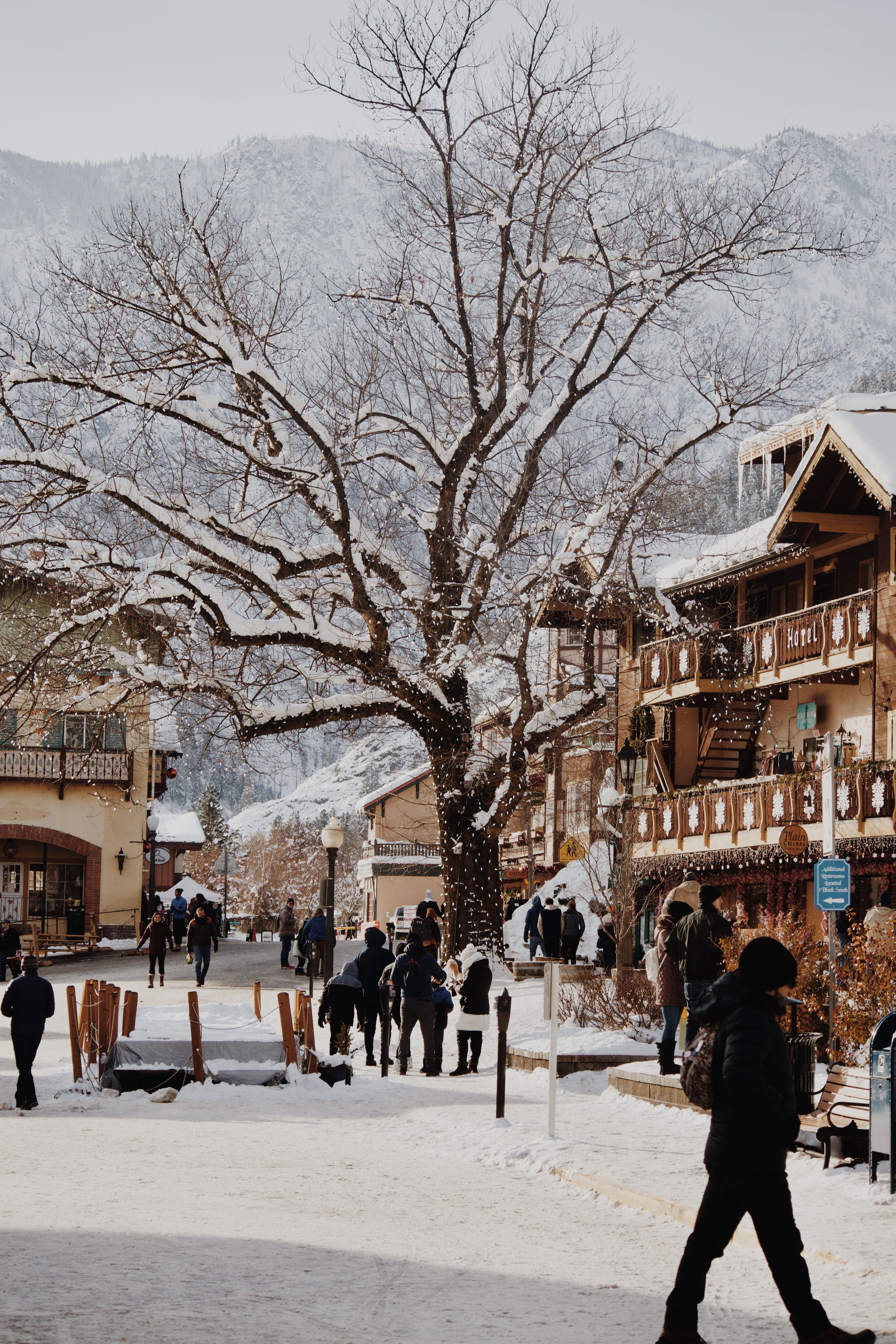 Ski Trunk Nuoc Photos, Download The BEST Free Ski Trunk Nuoc Stock ...
