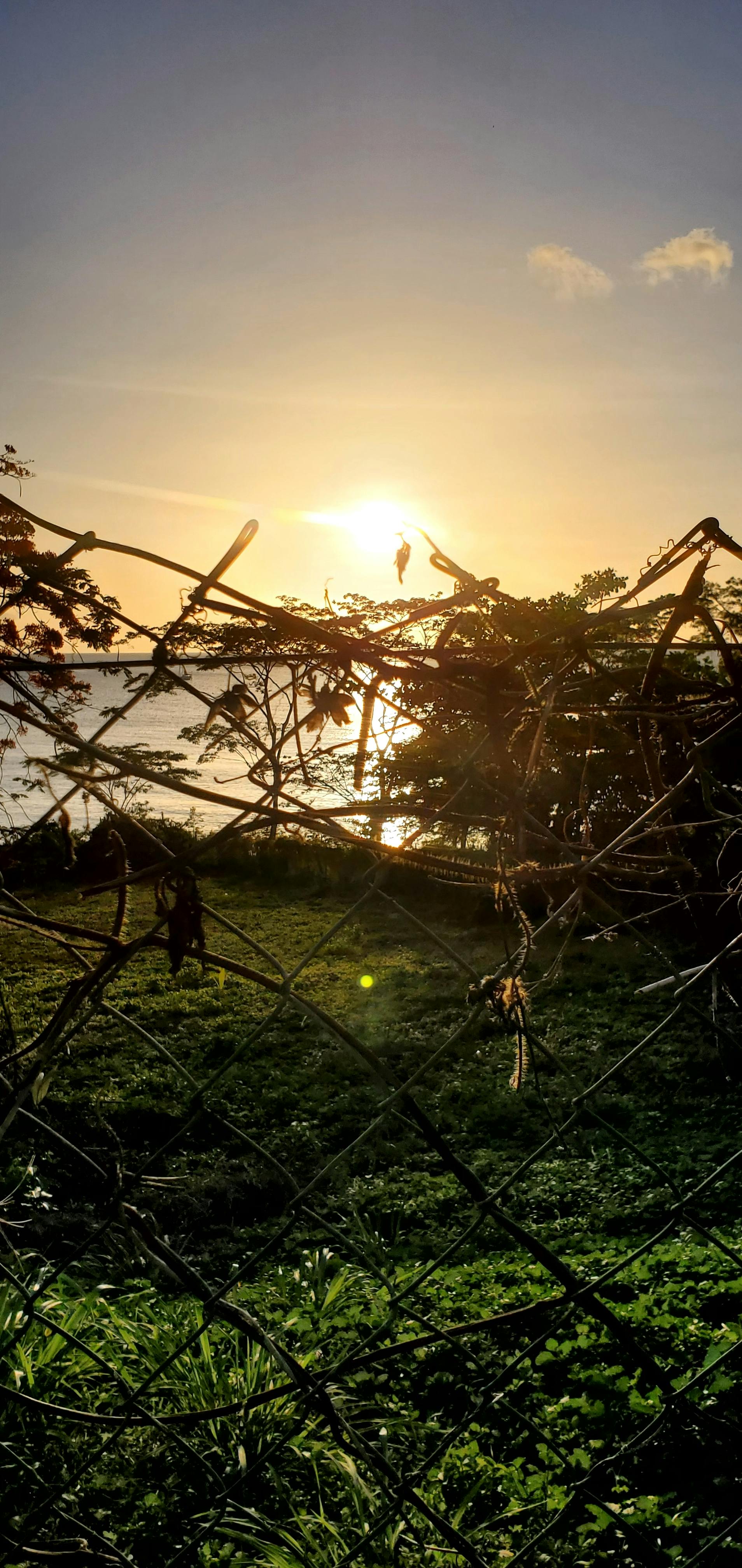 Anthony welsh - 攝影