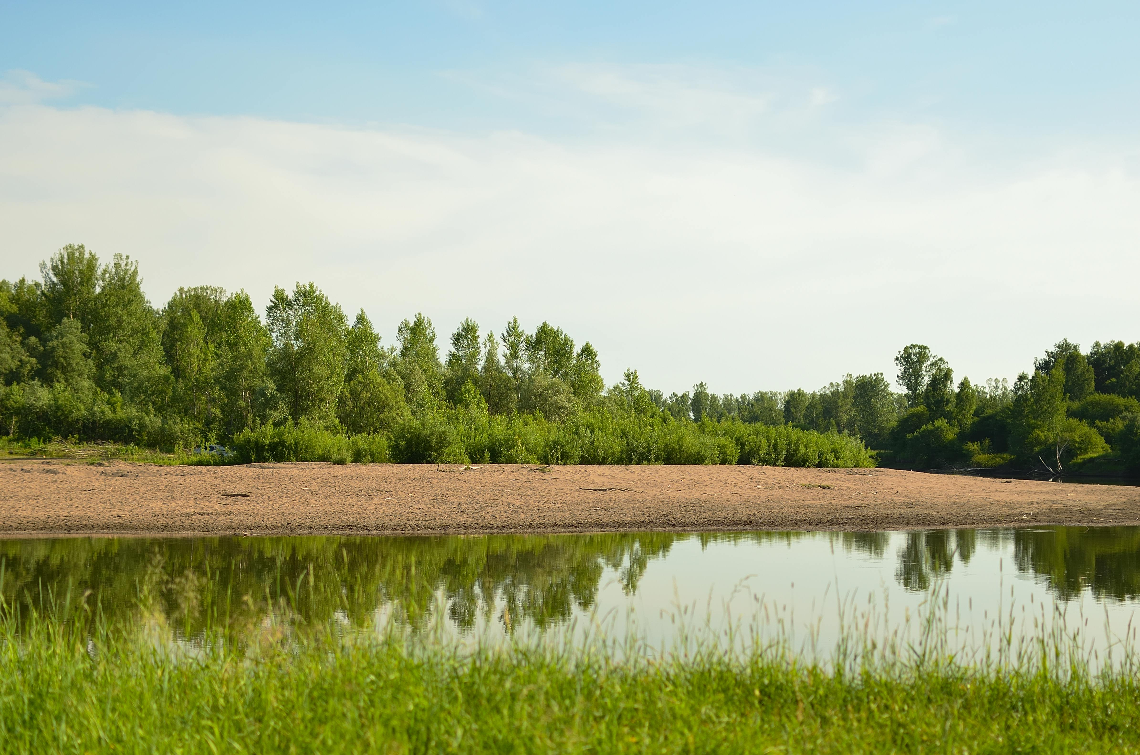 A Lake near the Shore · Free Stock Photo