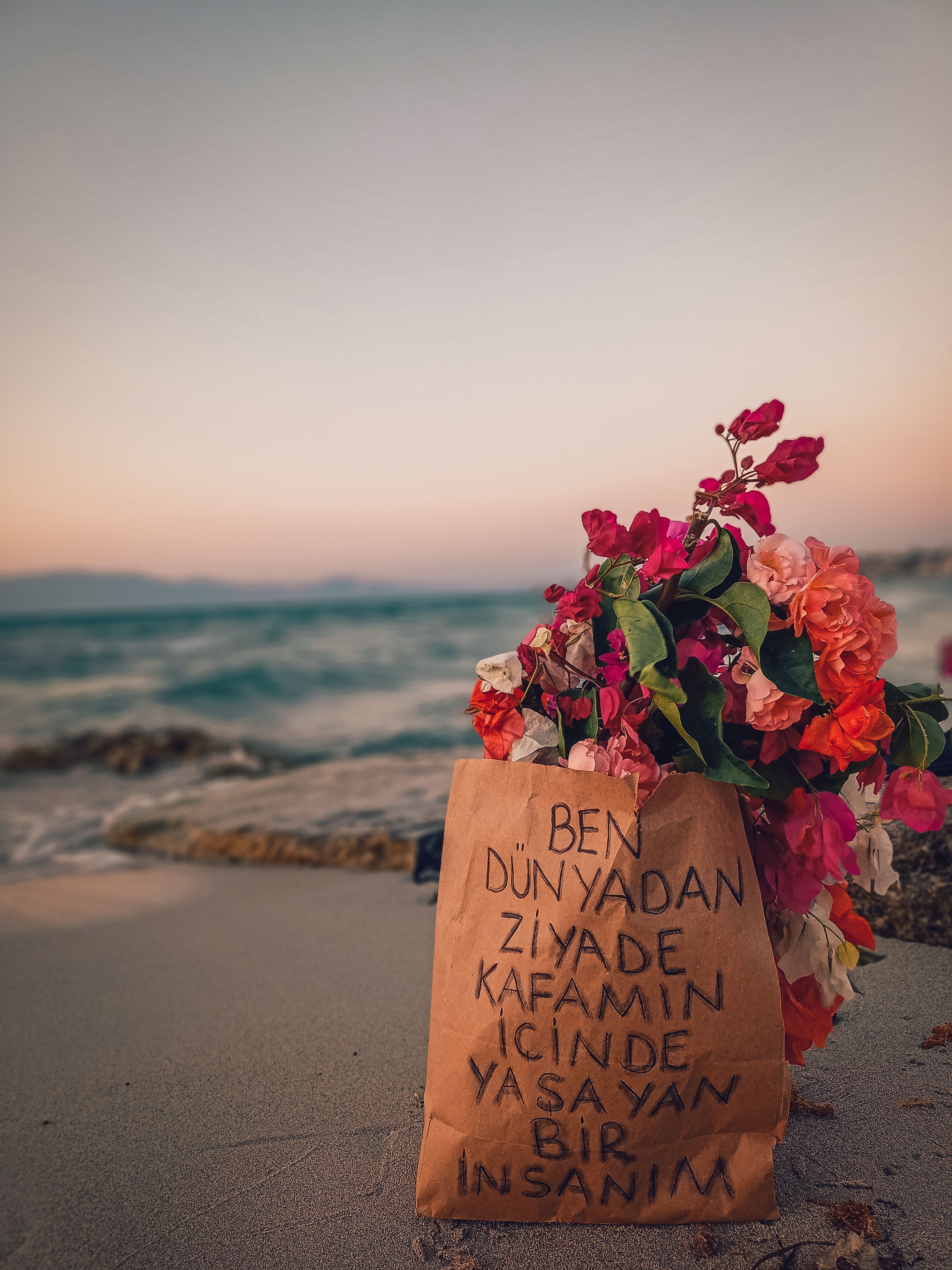 Flowers inside a Paper Bag · Free Stock Photo